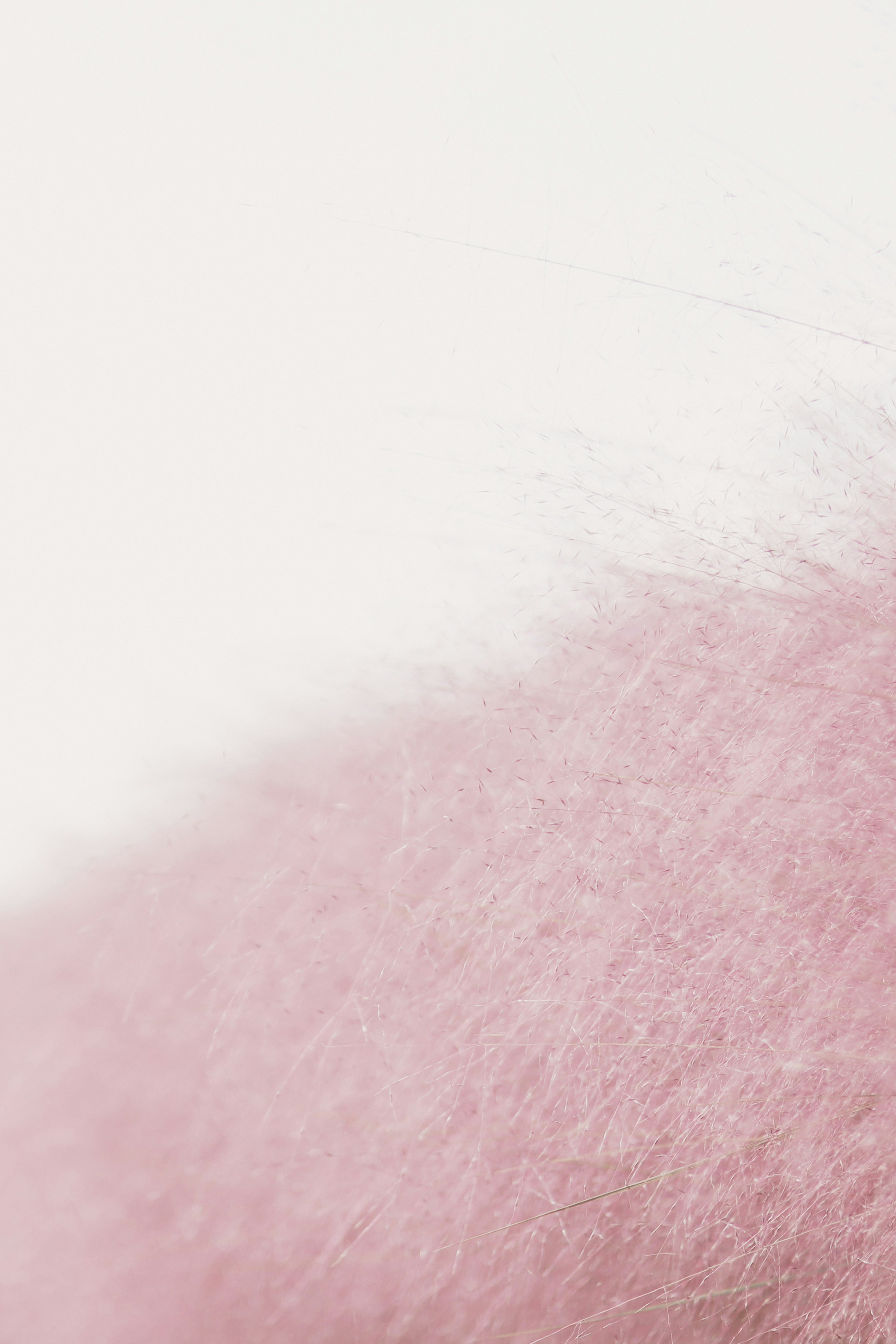 Textil floral rosa y blanco foto – Imagen de Textura gratuita en Unsplash