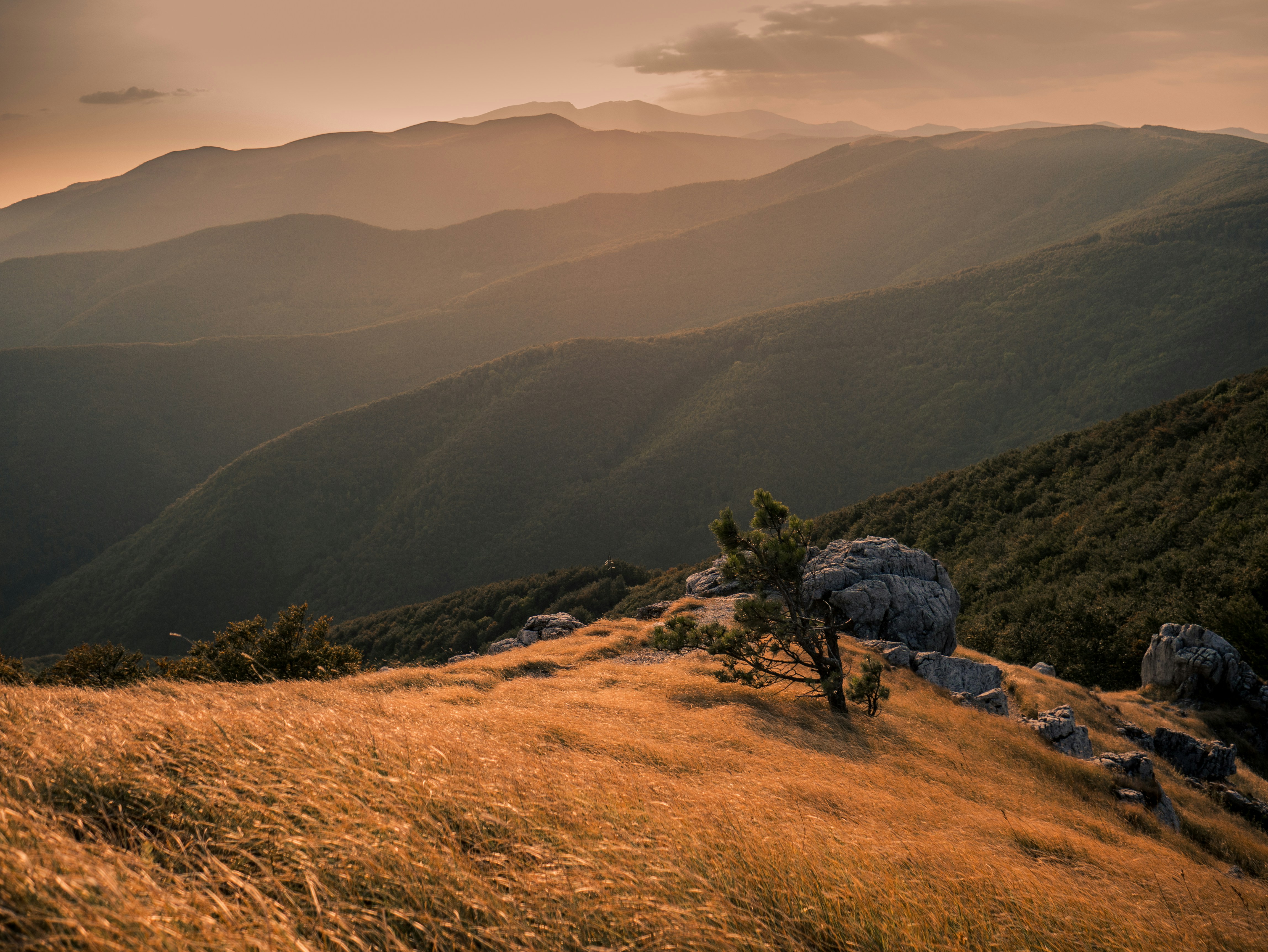 Golden grass sways on a hillside with layered mountain ridges in the distance under a warm sunset glow.