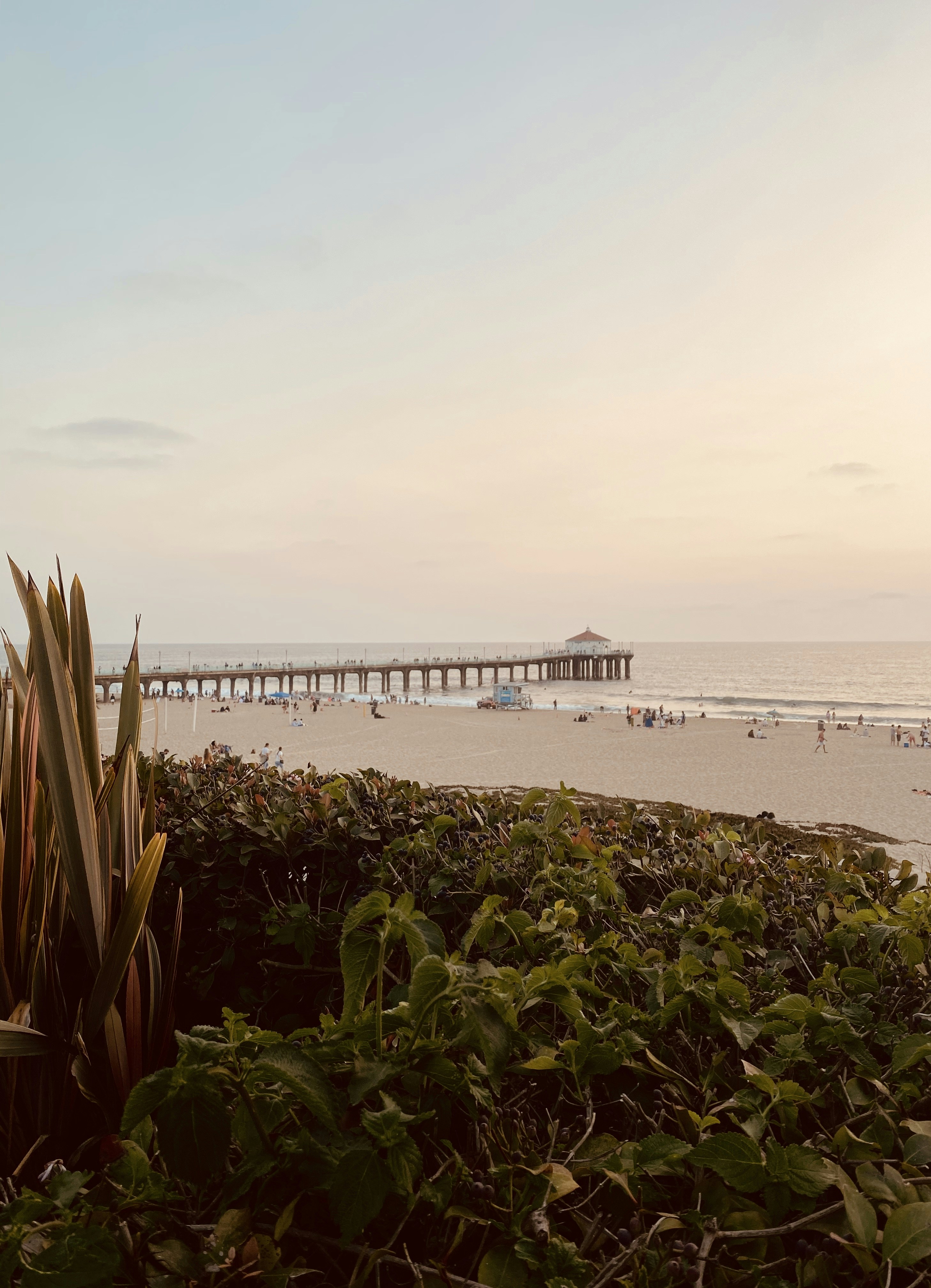 Manhattan Beach Pictures | Download Free Images on Unsplash