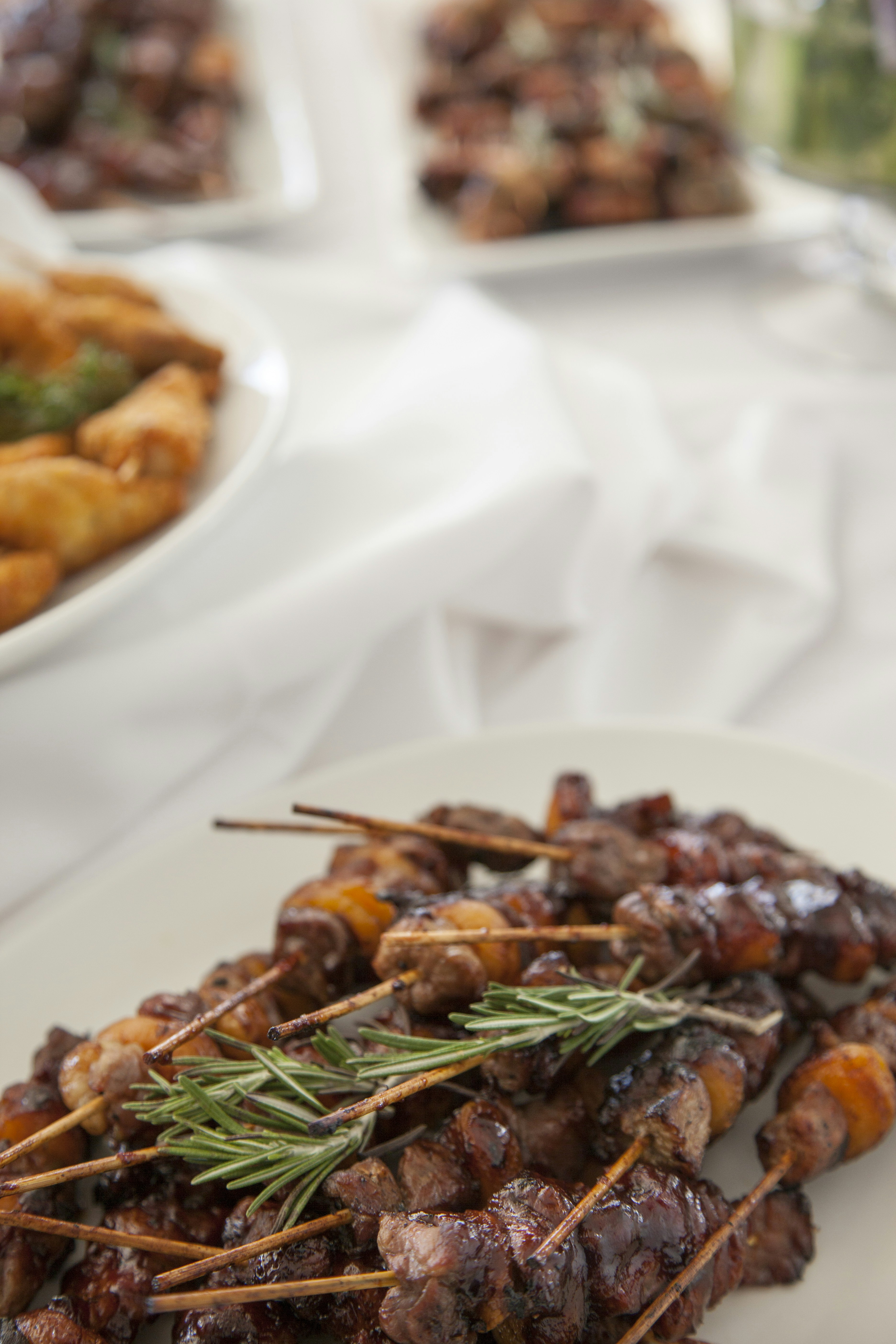 Catering, hotel food, canapés