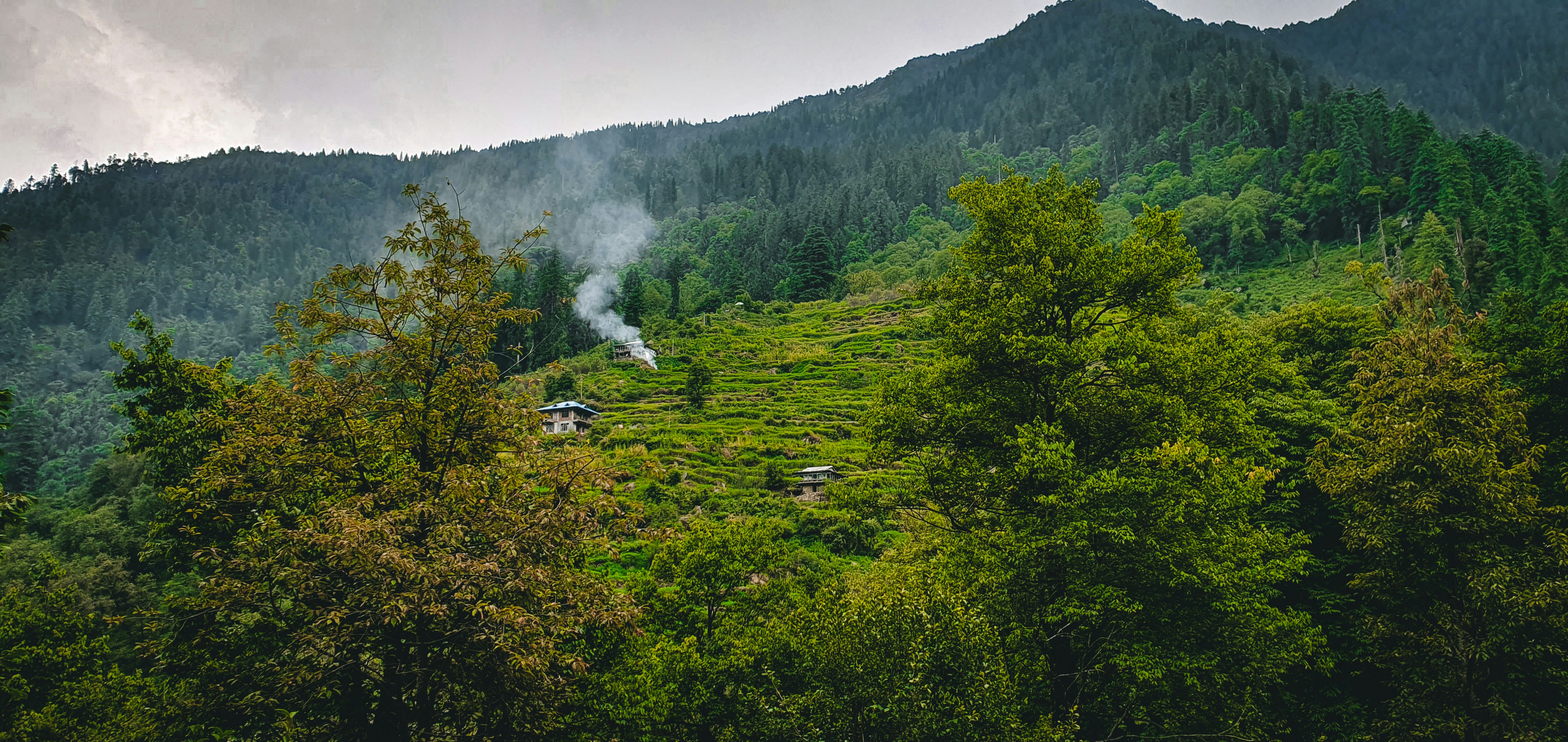 Green trees on mountain during daytime photo – Free Kullu Image on Unsplash