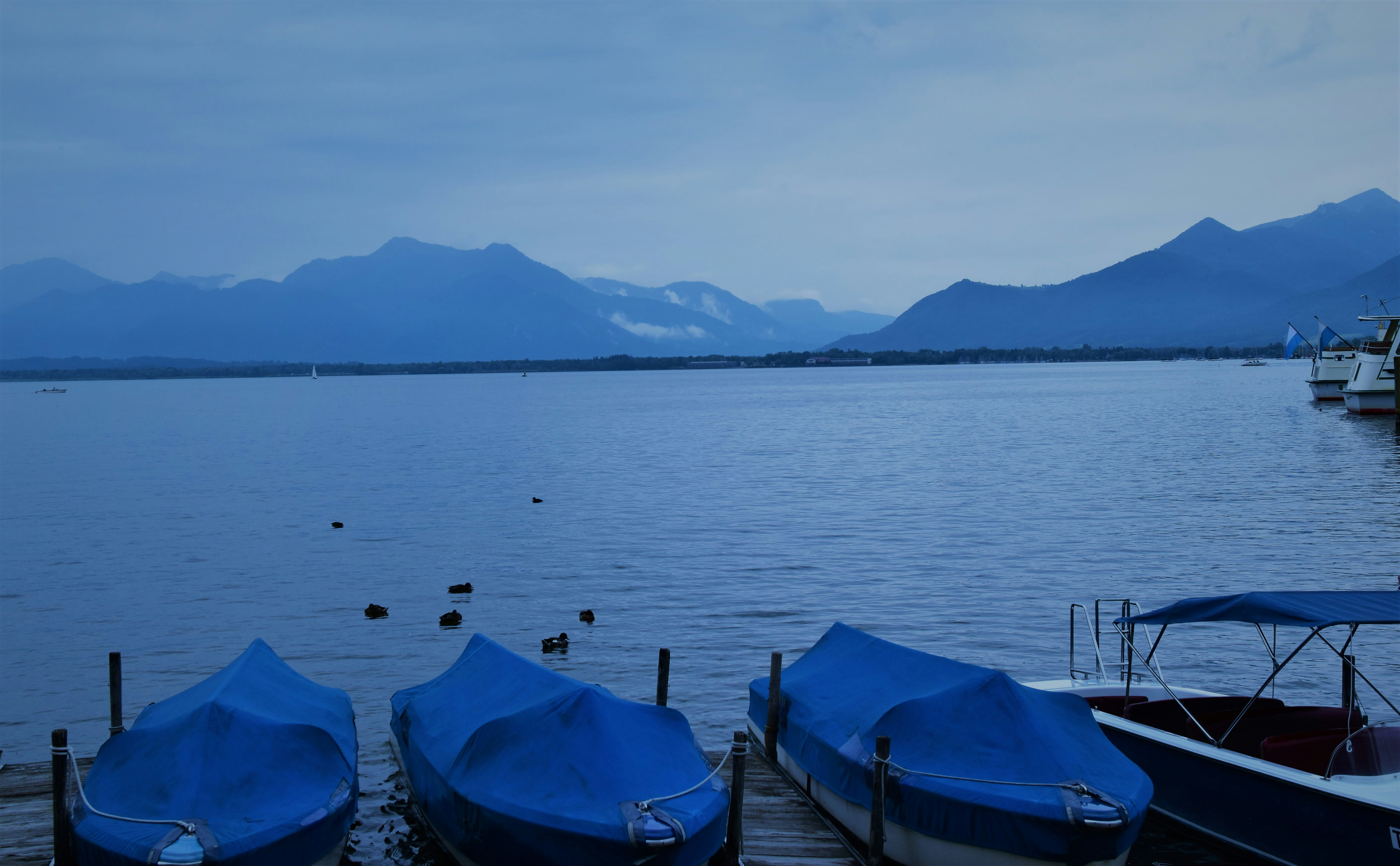 blue sea, blue mountain, blue sky, blue Boats, evening  Mood at the Chiemsee Lake | blue and white boat on water during daytime