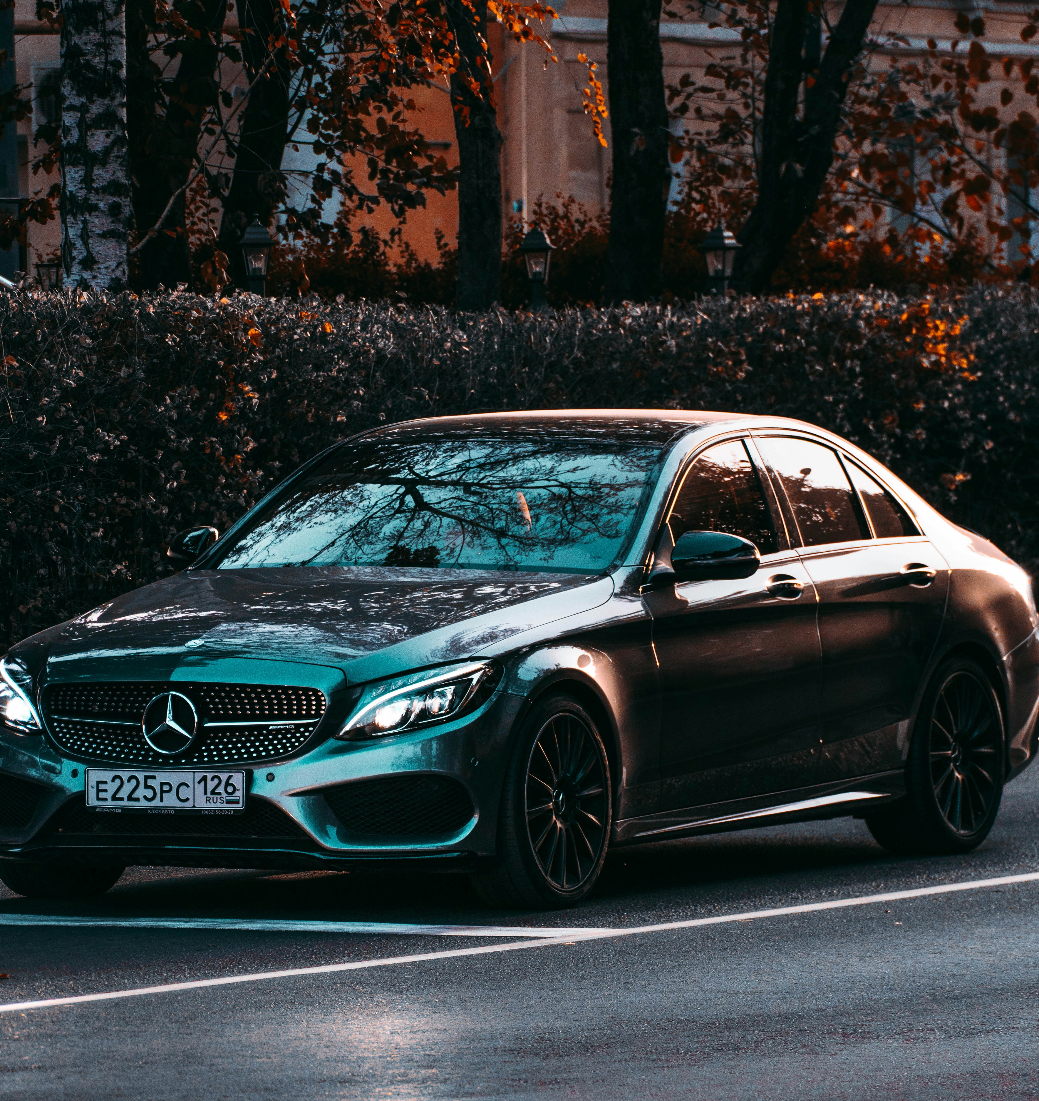 Sleek black Mercedes sedan parked alongside a lush hedge, showcasing its modern design against an autumn backdrop.