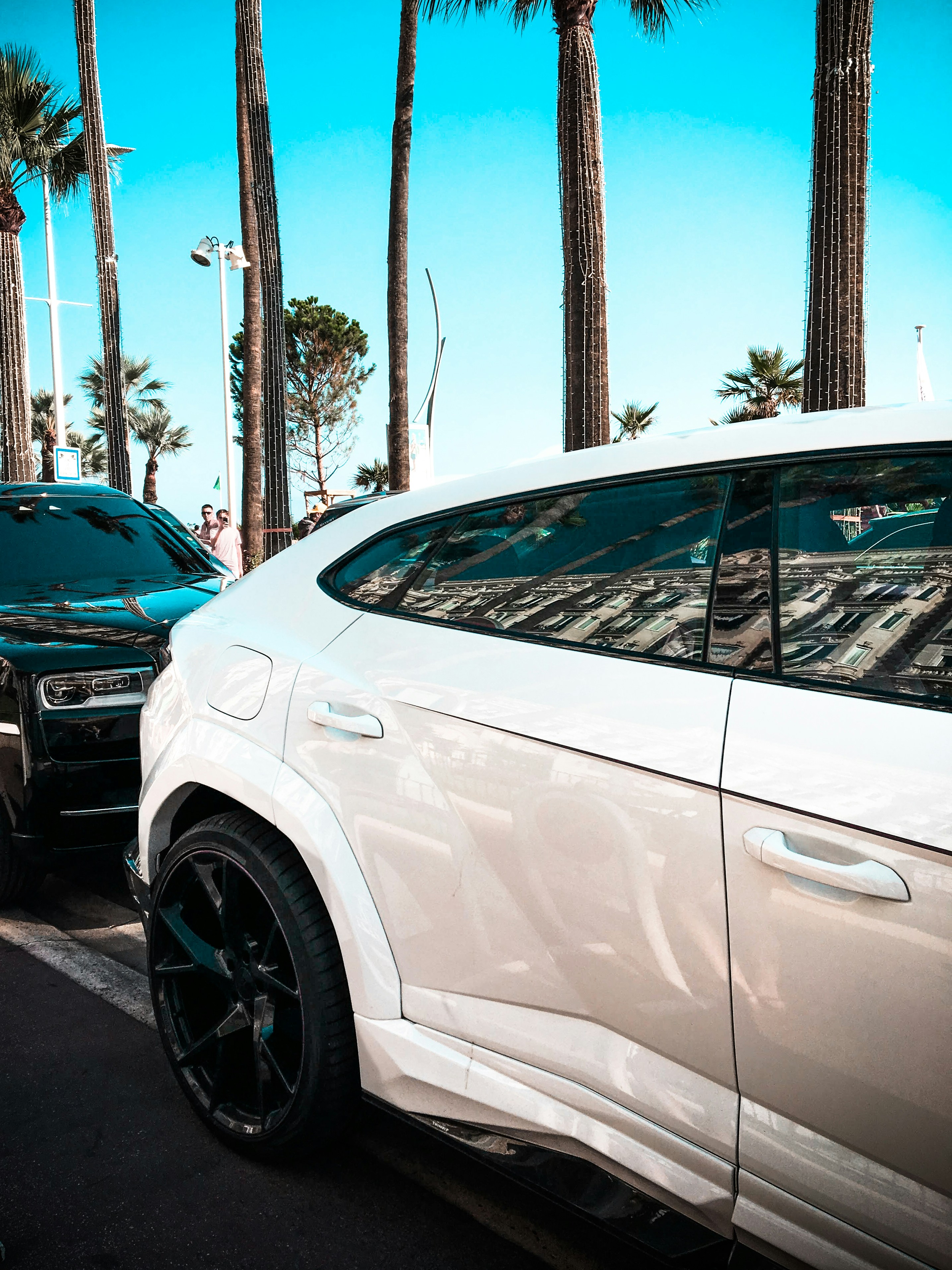 Sunlit Carfronts in Palm Alley