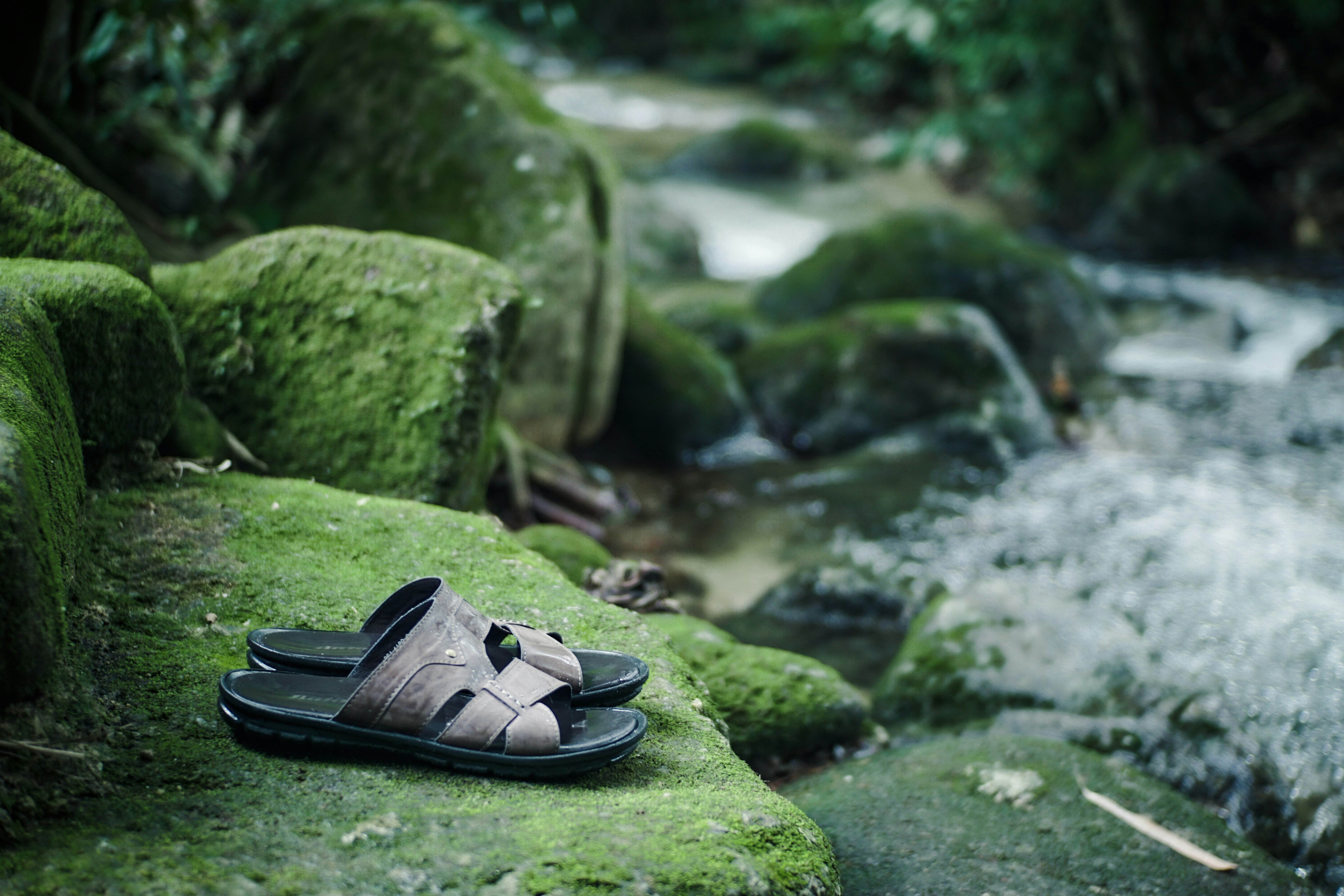 Moss-Cushioned Sandals by a Quiet Stream