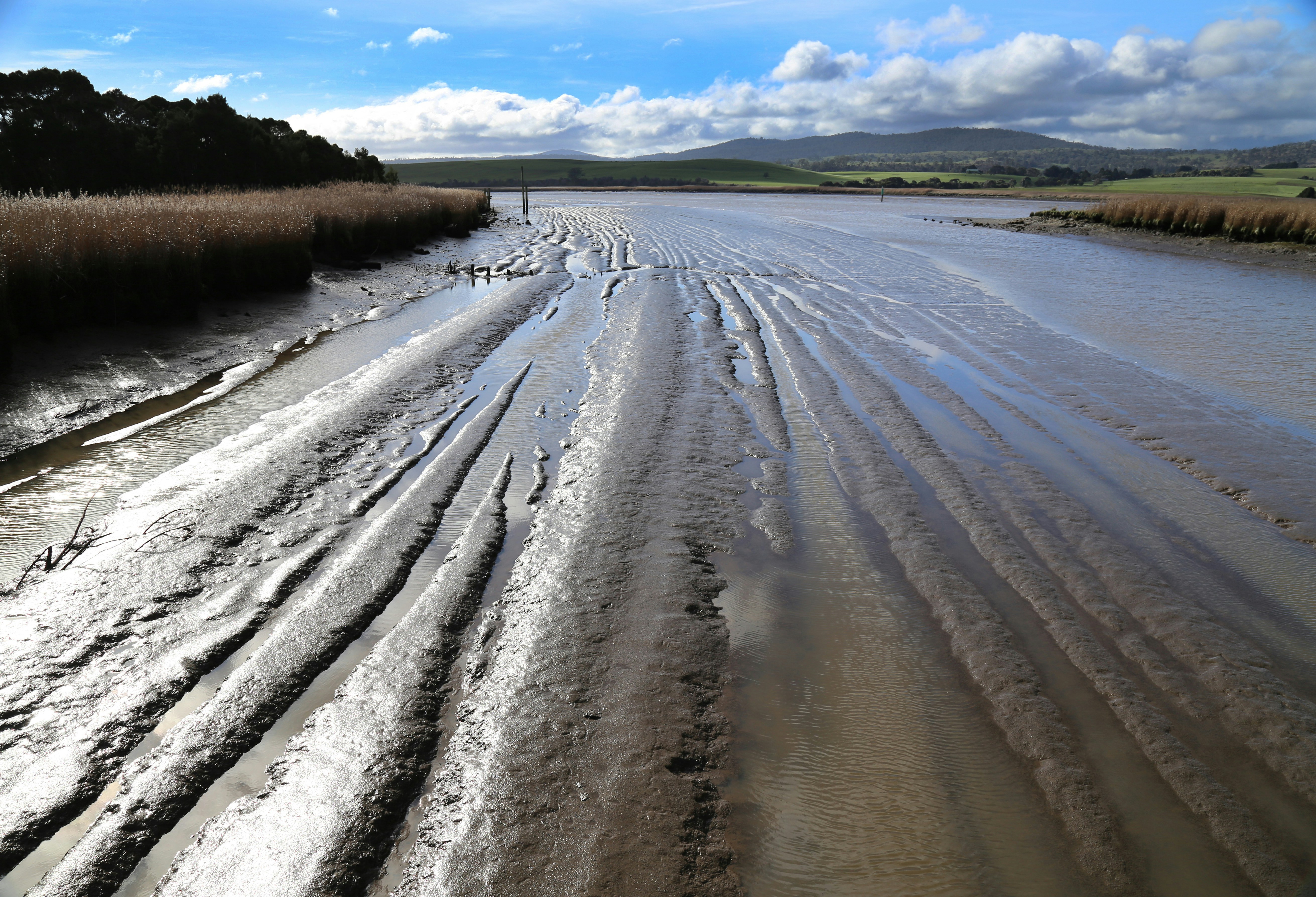 Ribbed Tide Lines Reaching a Cloud-Dusted Horizon
