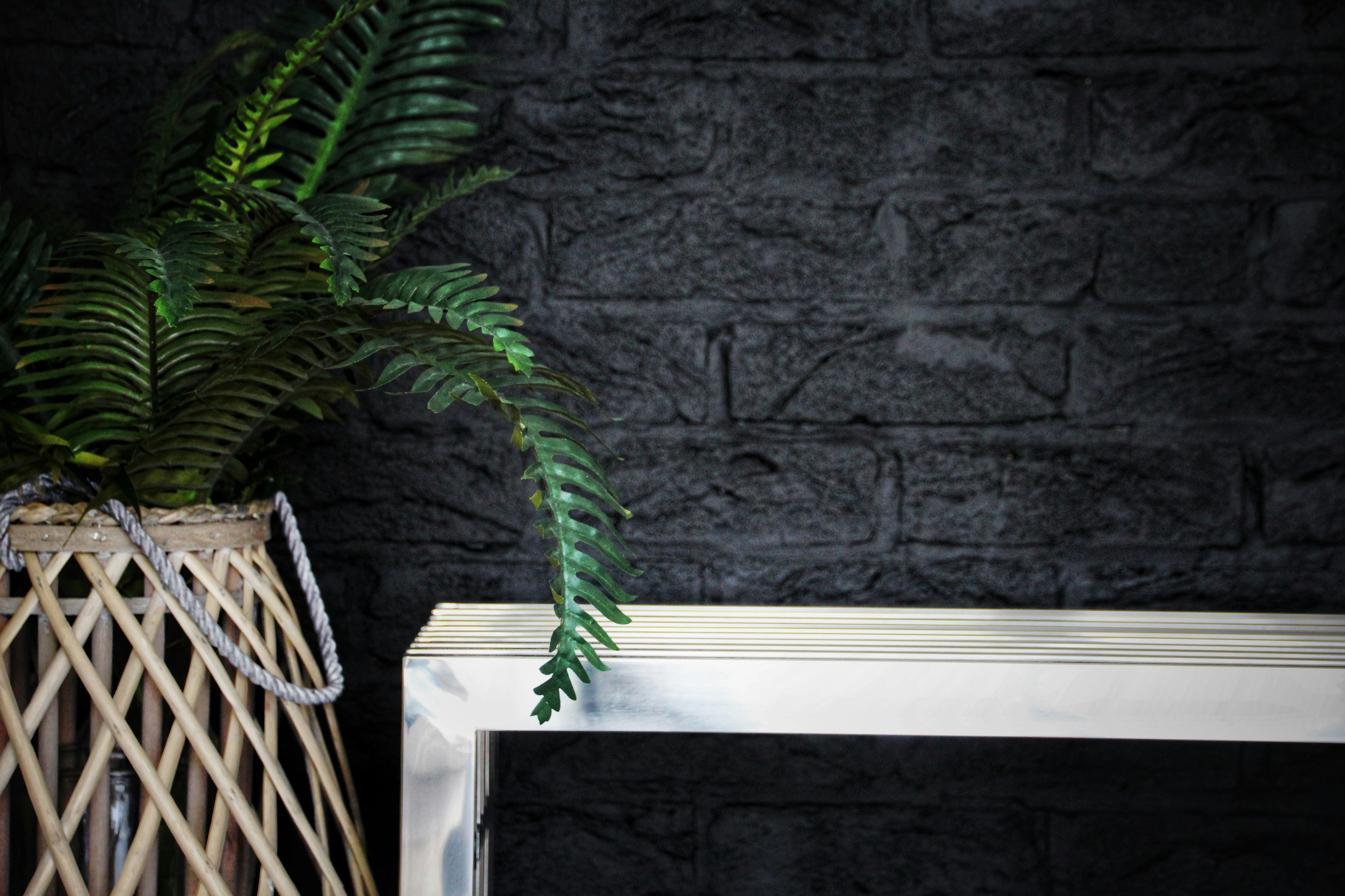 Lush green fern cascading from a woven basket beside a sleek metallic table, set against a textured black brick wall.