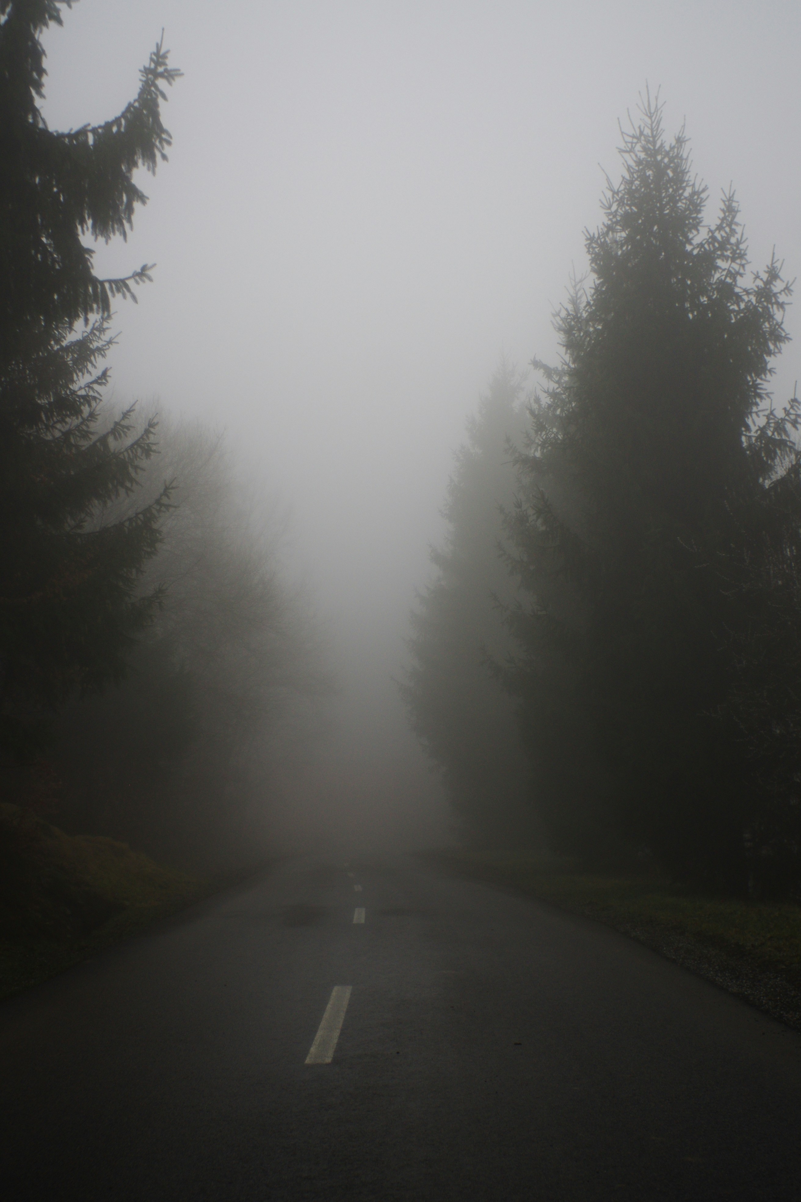 550+ Dark Road Pictures | Download Free Images on Unsplash