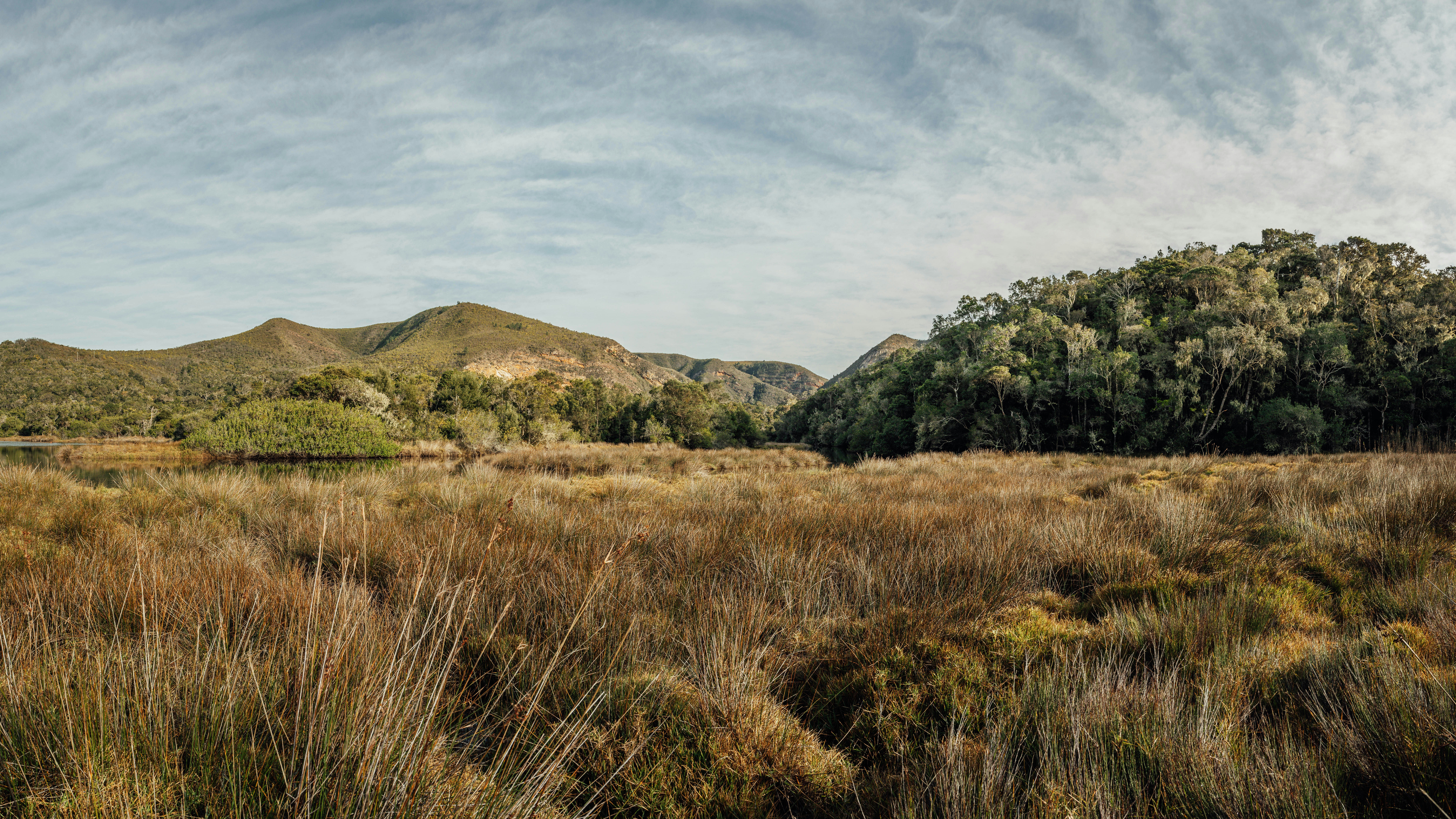 Expansive grassland leading to distant green hills under a textured sky.