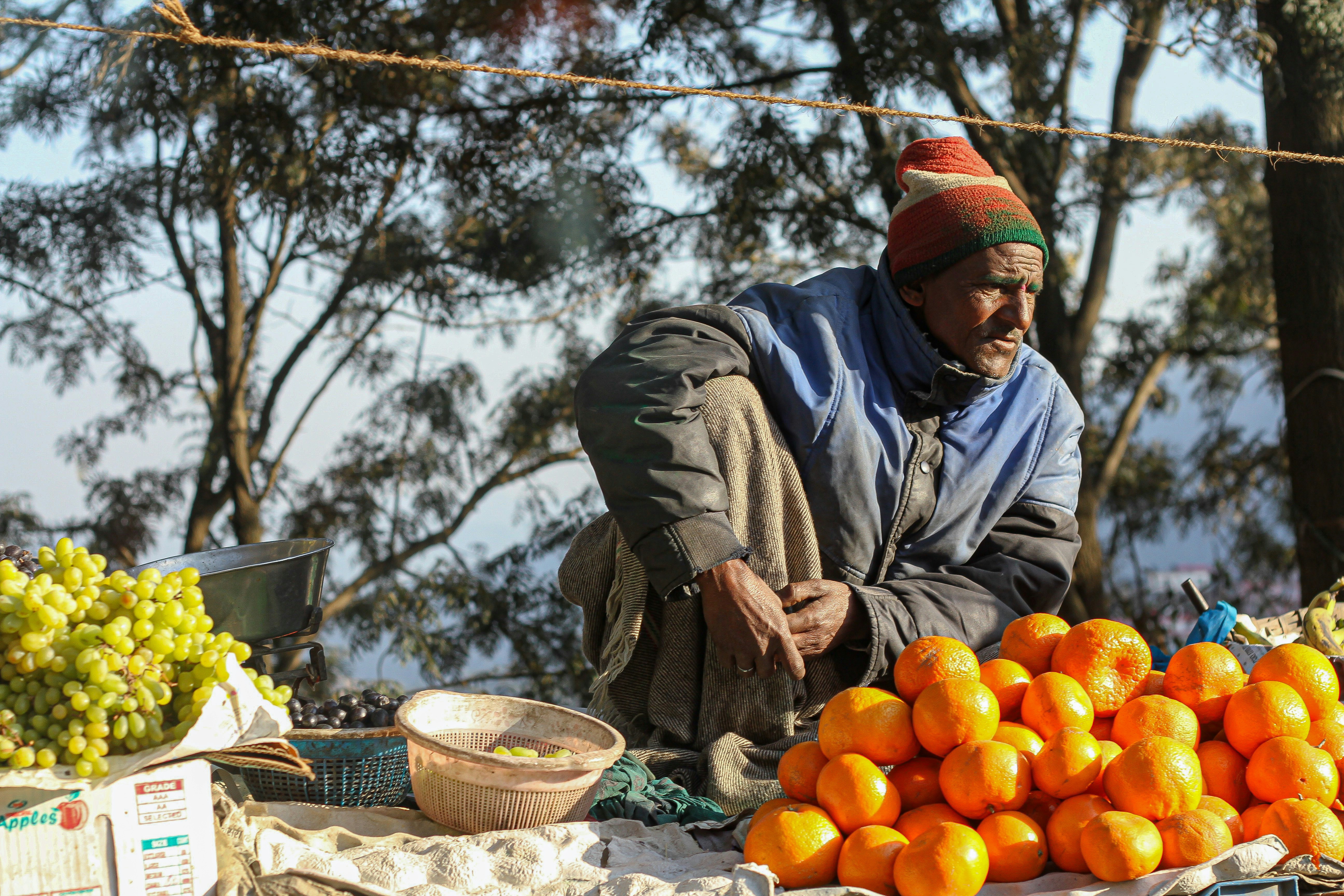 Man in gray jacket sitting beside orange fruits photo – Free India ...