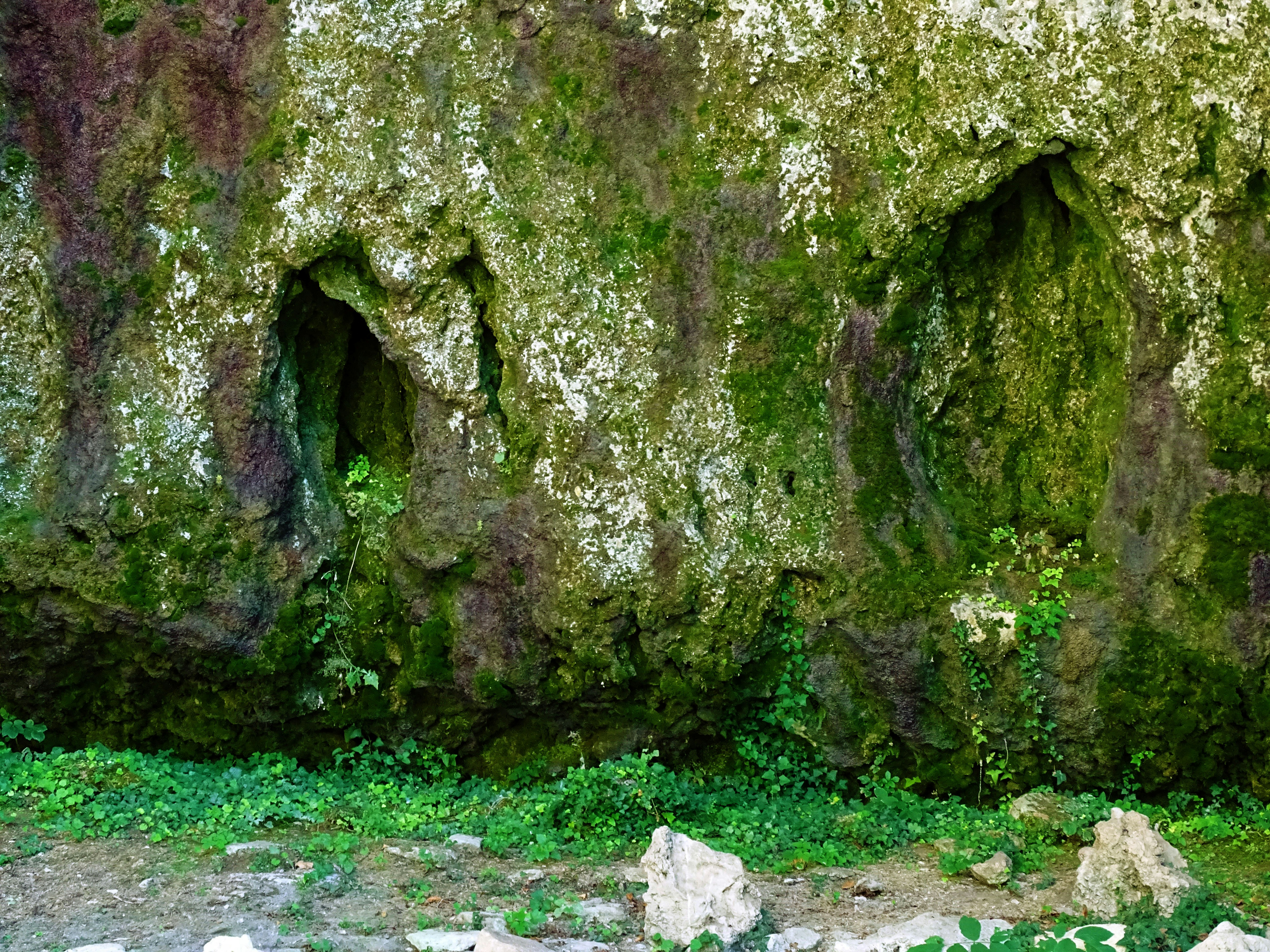 Moss-covered rock face with natural openings surrounded by lush greenery.