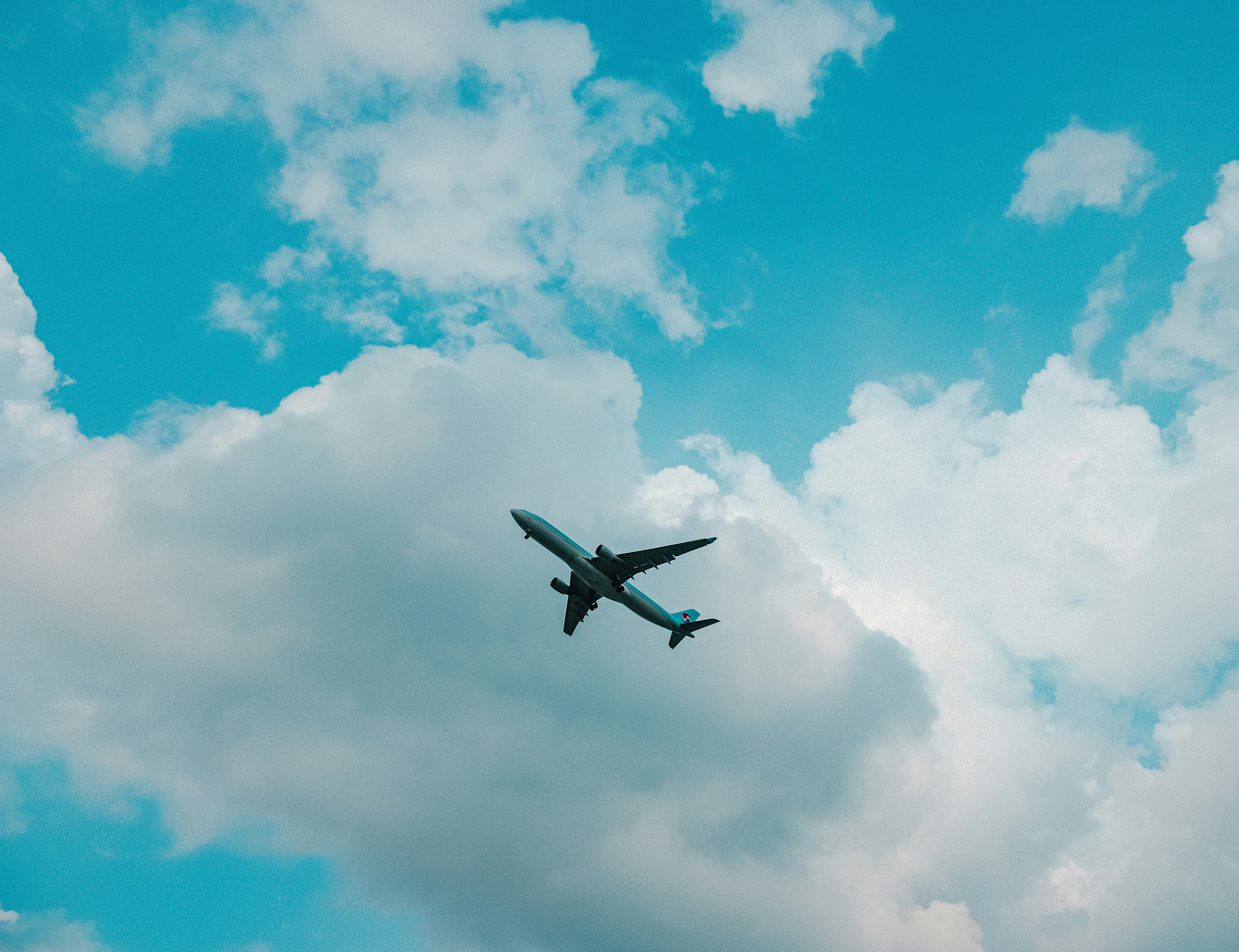 韓國通訊軟體大比拼：LINE vs. KAKAO TALK，誰更受歡迎？ | 生活在倫敦 Living in London