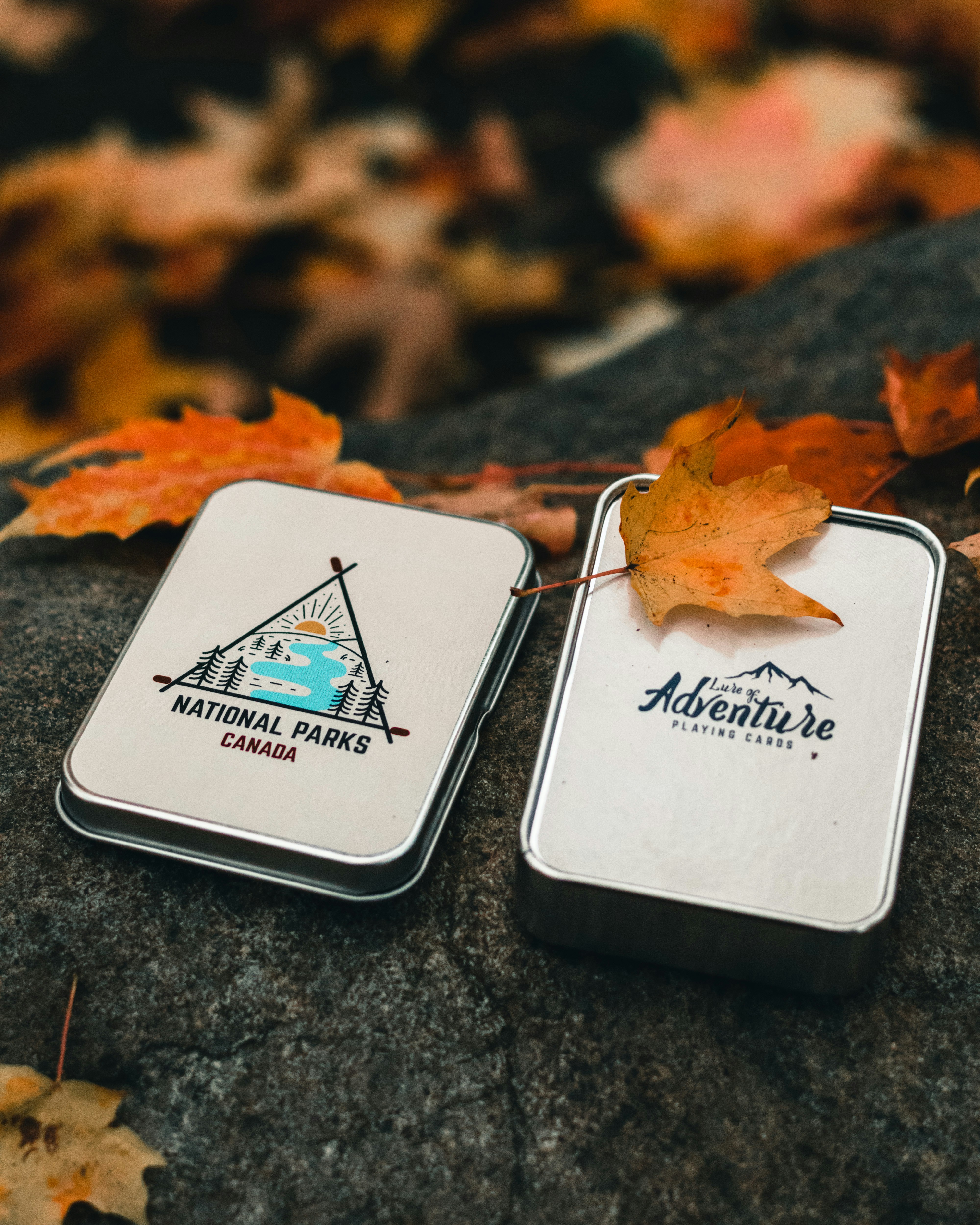 Two Tin Boxes of Autumn Adventure