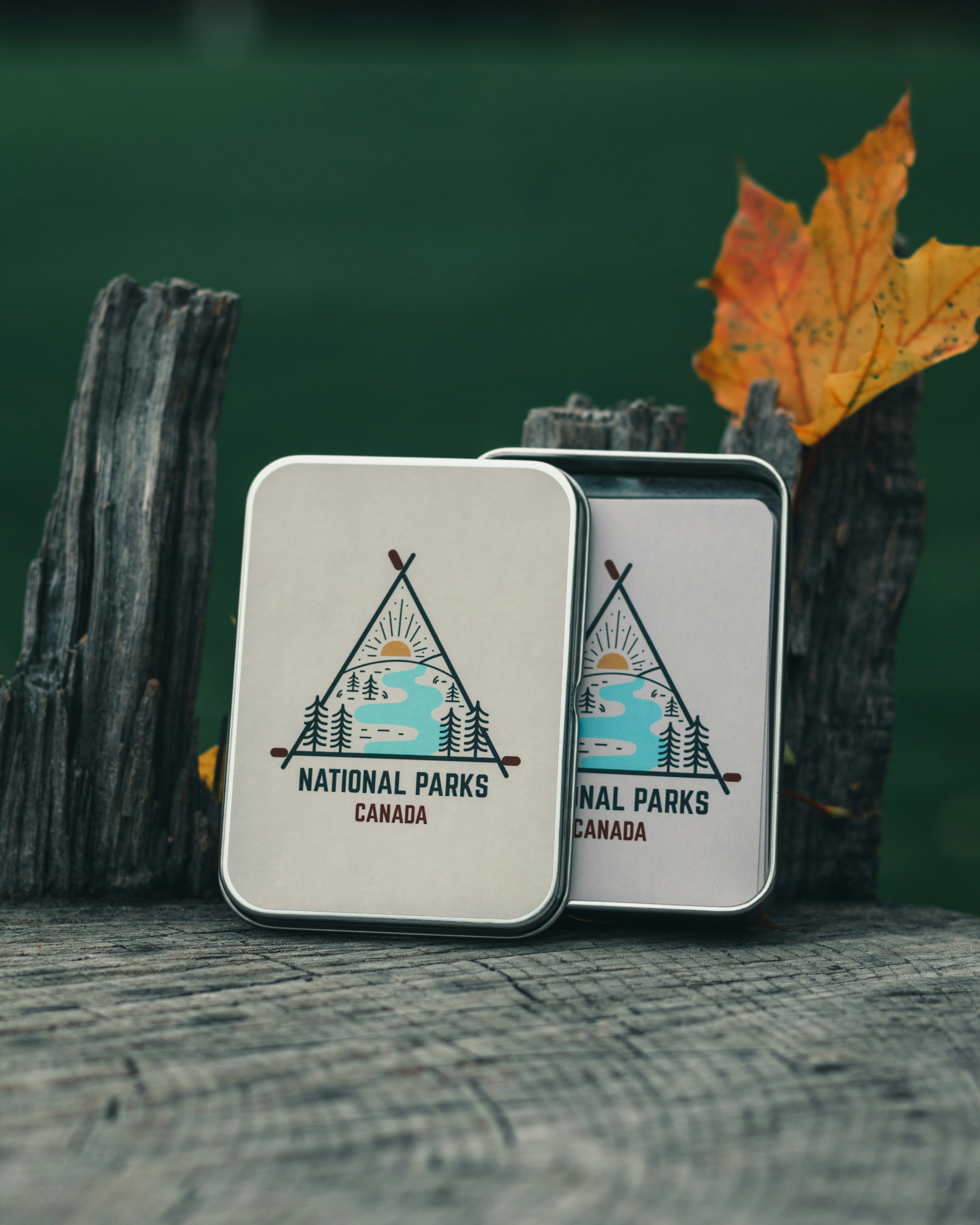 Tin Can Treasures: A Quiet Moment with National Parks Tin Case