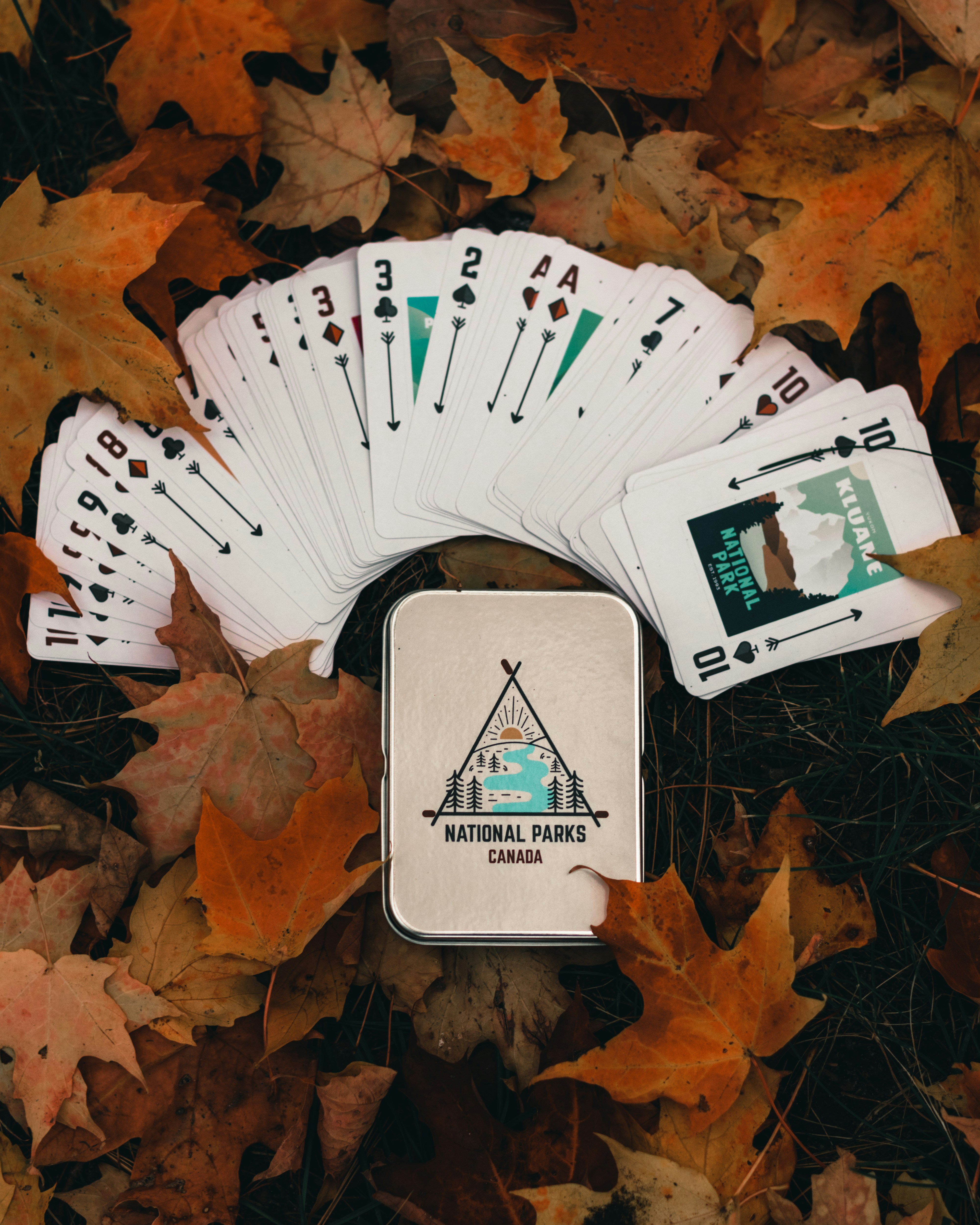 Leaf-Fanned Deck Encircles a National Parks Canada Tin