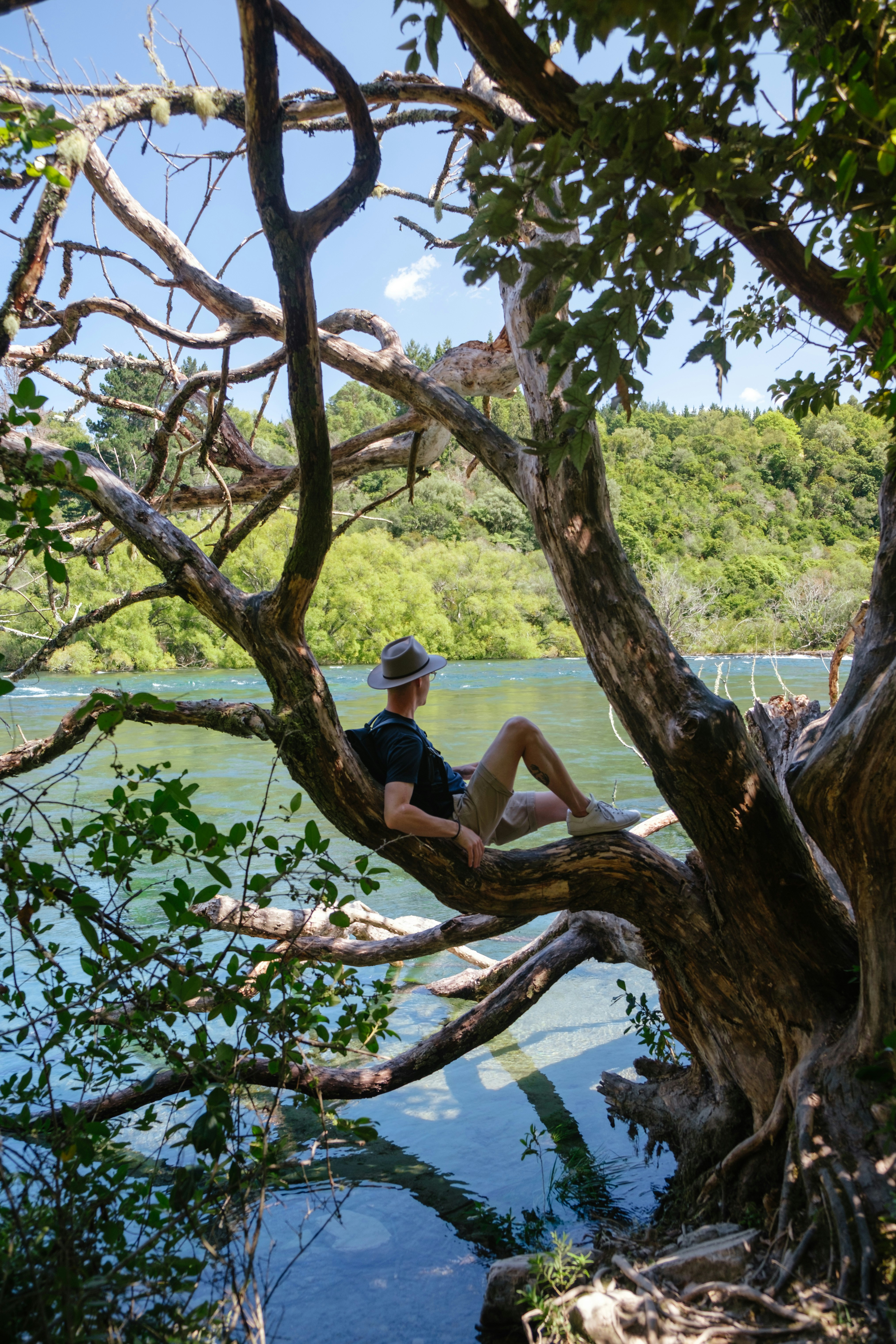 Riverside Reverie: A Lone Figure Perched in a Gnarled Tree Over Calm Waters