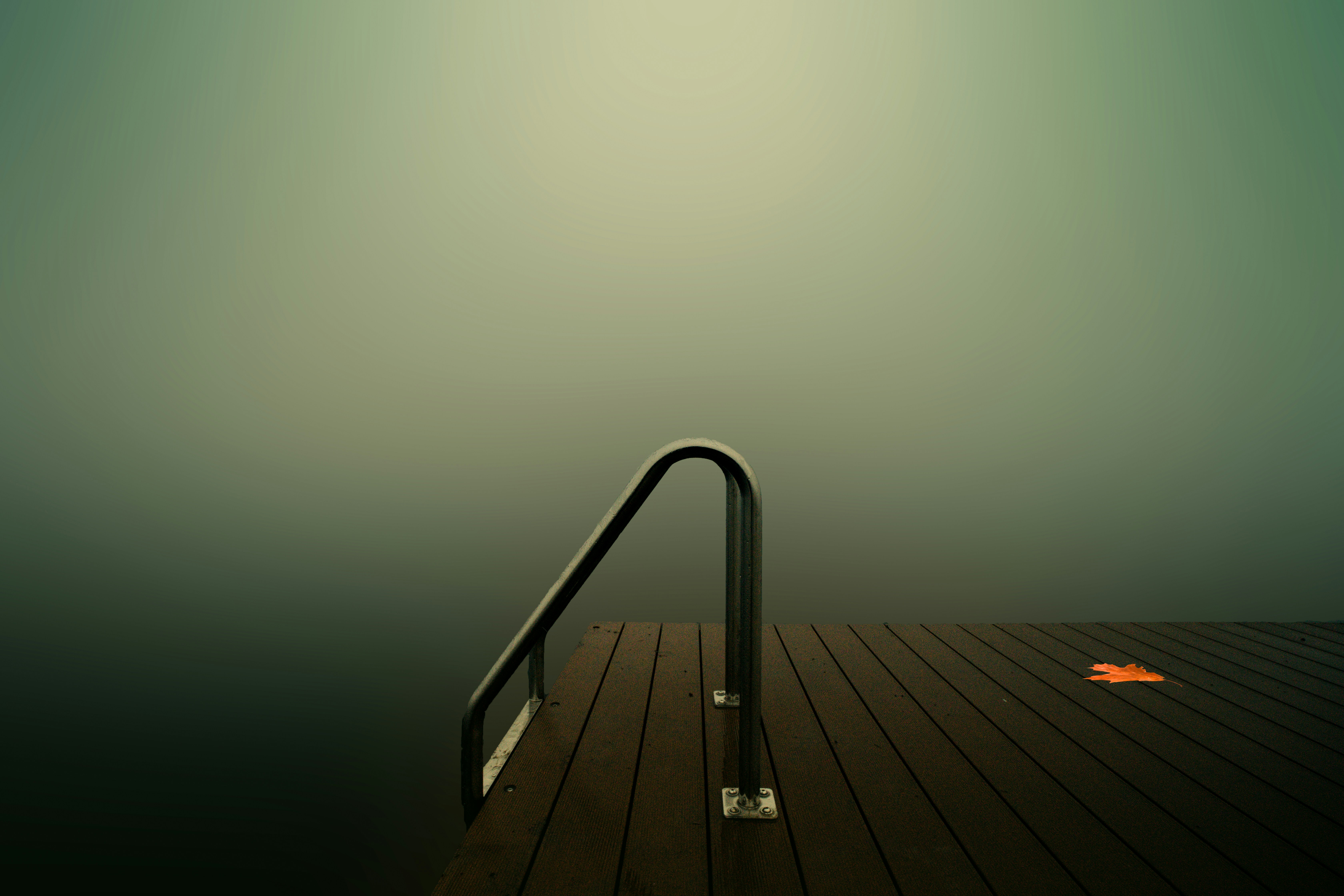 Sample photo from Canon EOS R