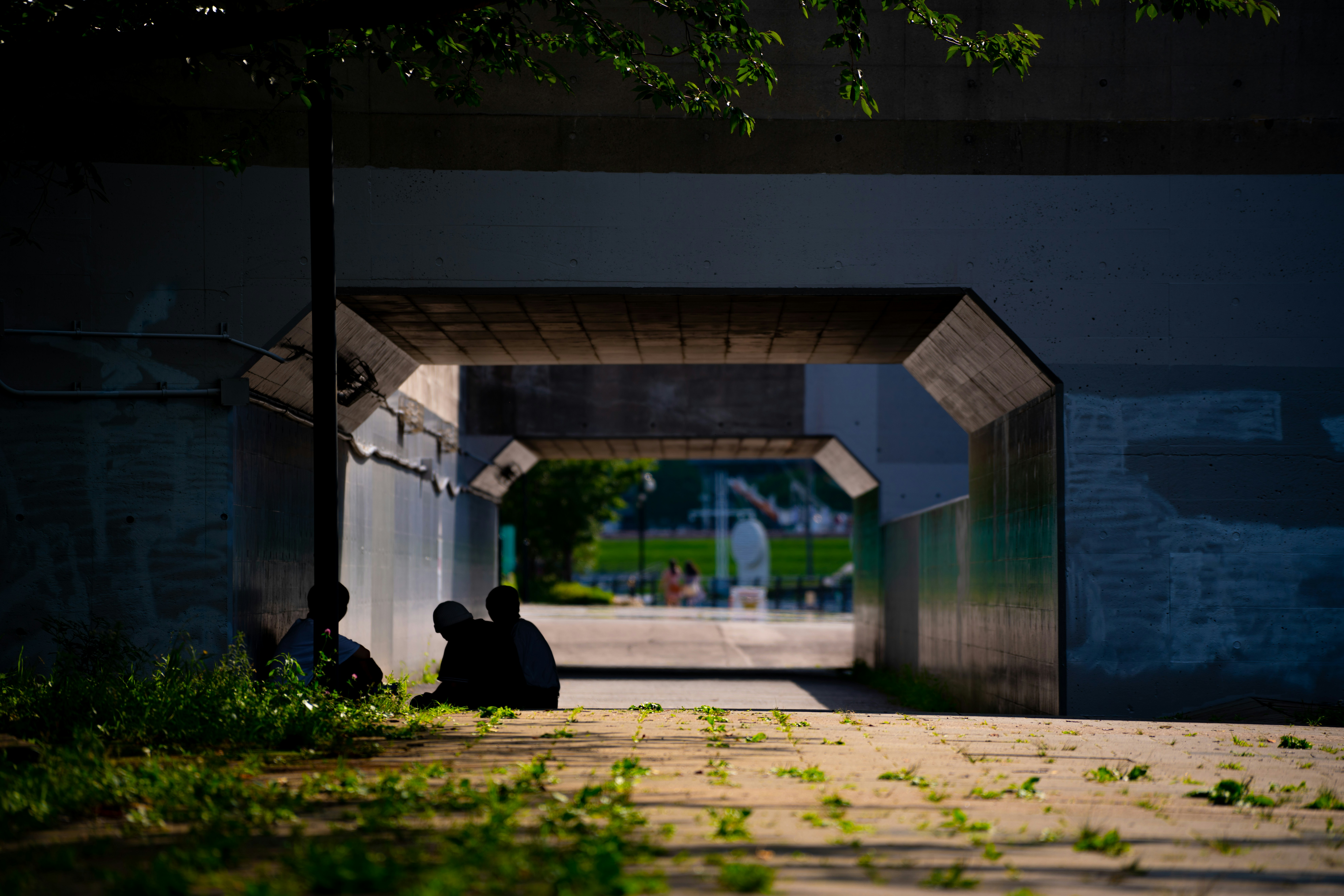 Archway to Light: A Quiet Corridor Framing a Sunlit Park