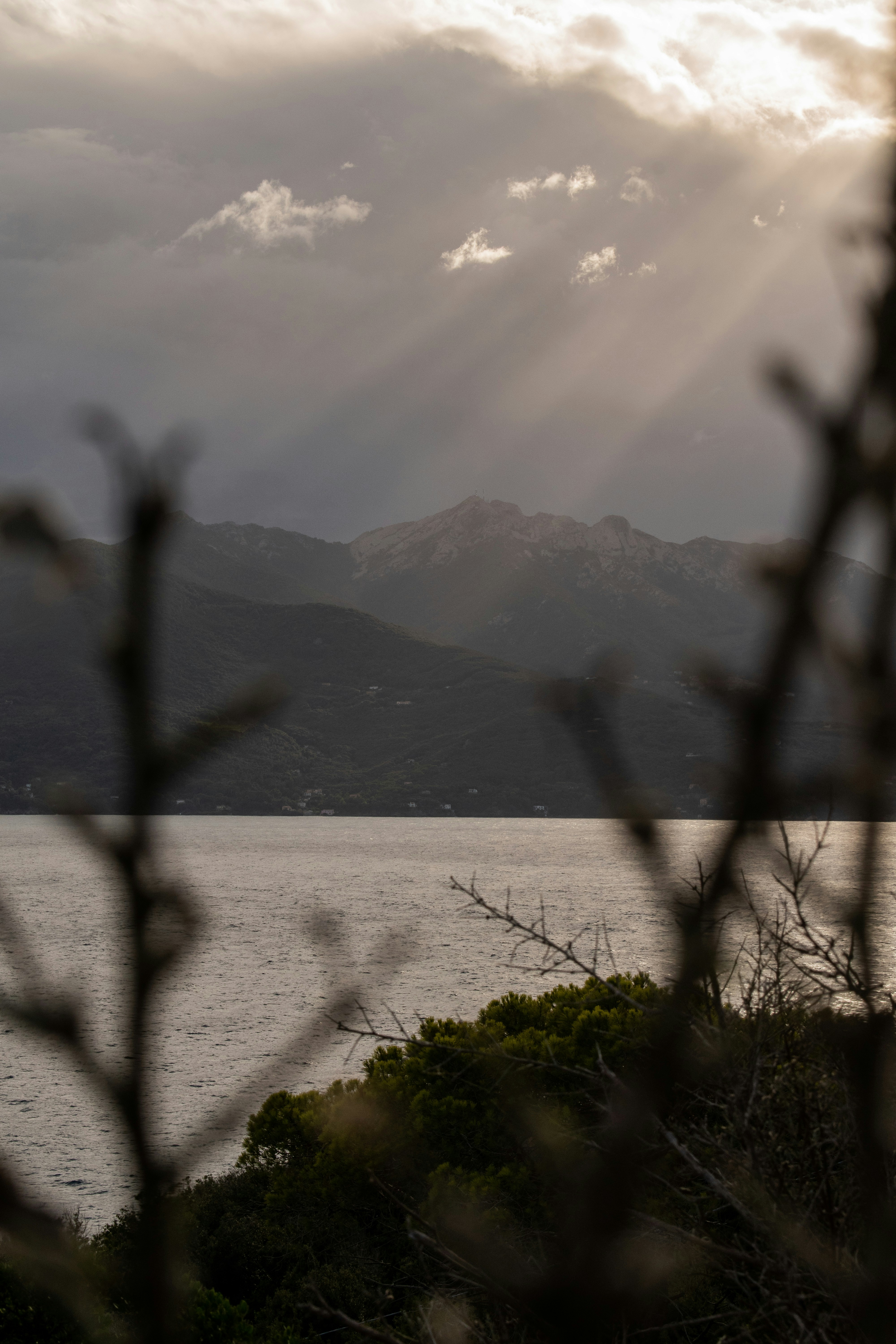Dramatic rays of sunlight break through clouds, illuminating distant mountains over a tranquil sea, framed by silhouetted branches.