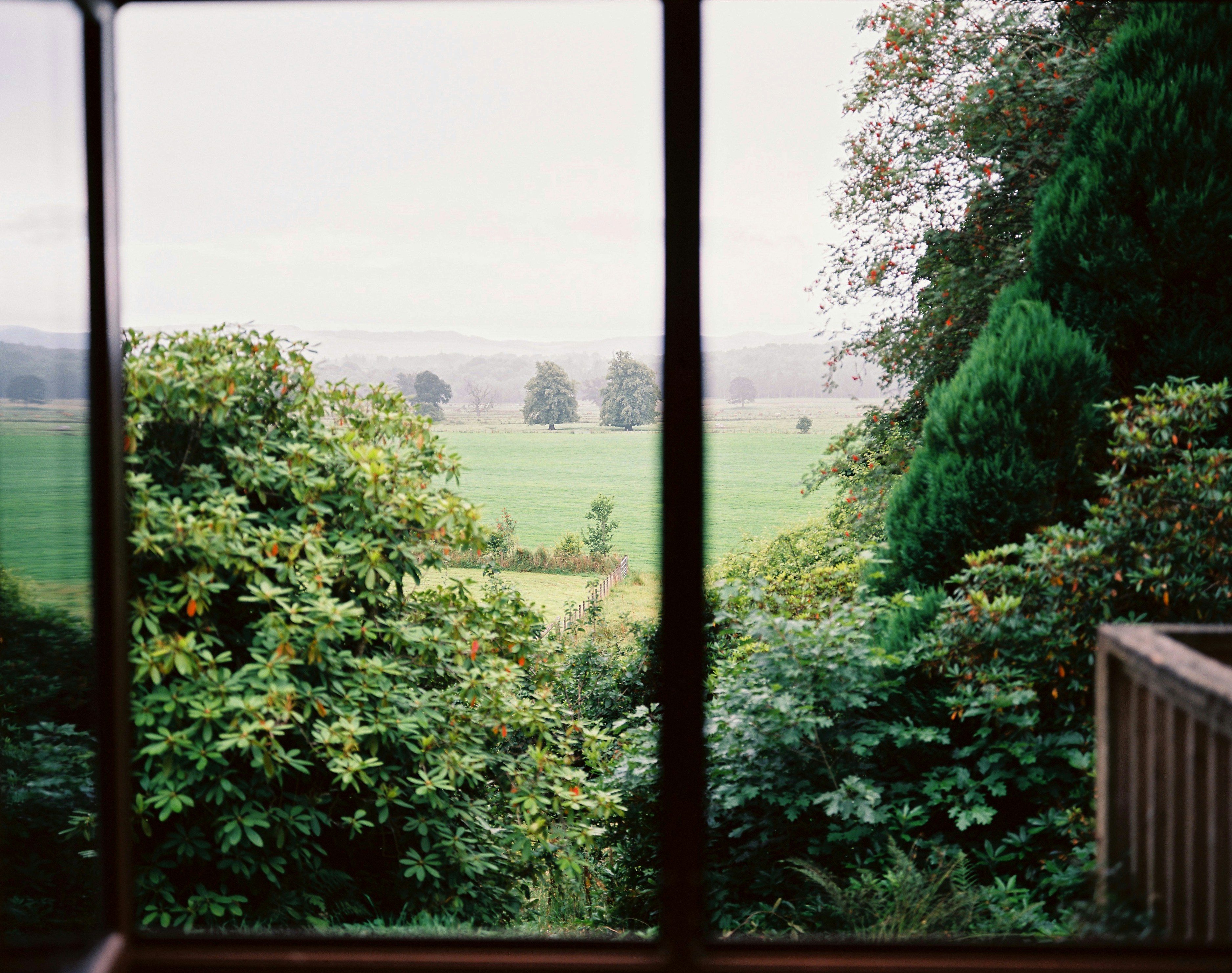 Veranda Vista: A Quiet Valley Framed by Garden Foliage