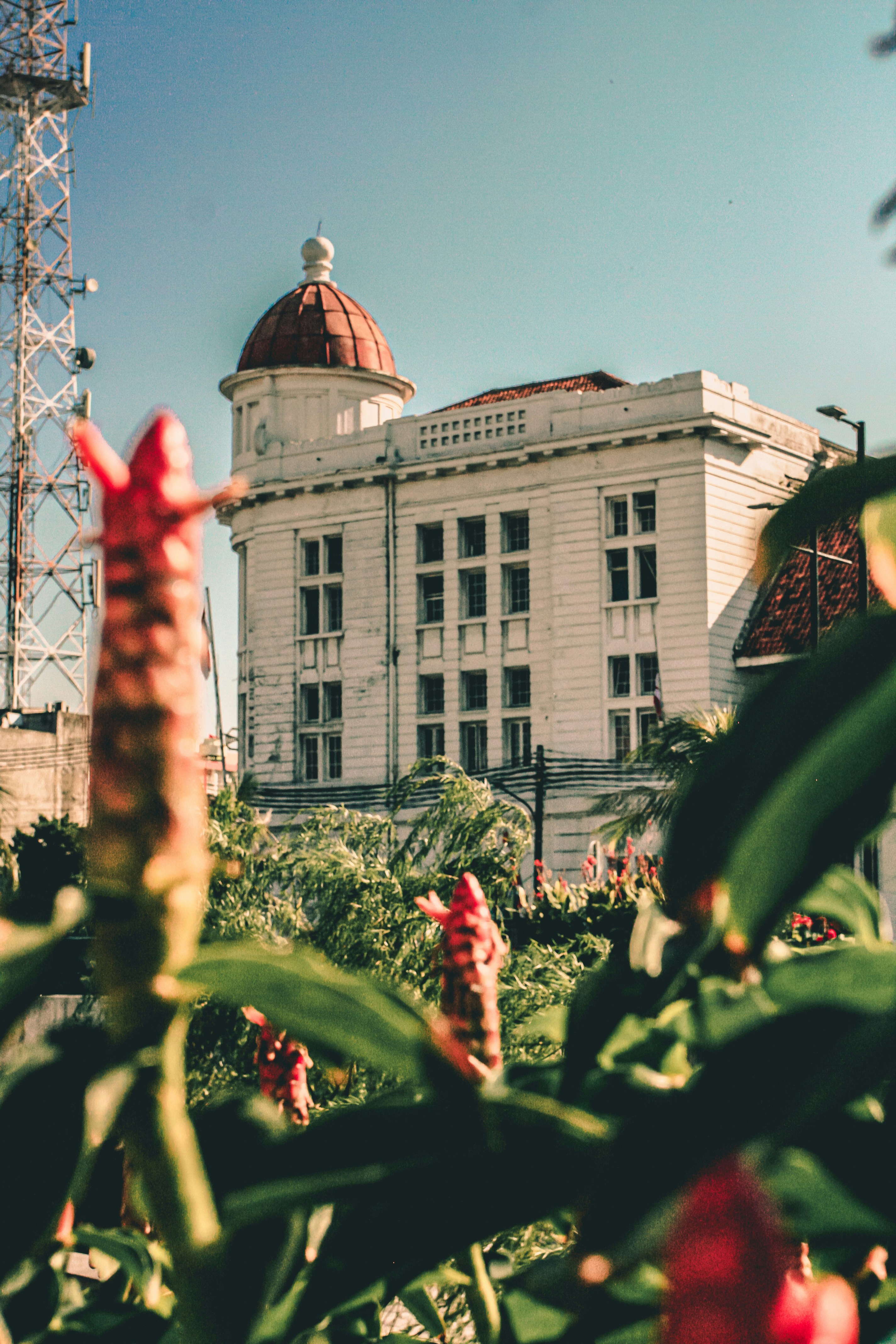Dome-Topped White Building Framed by Red Cannas