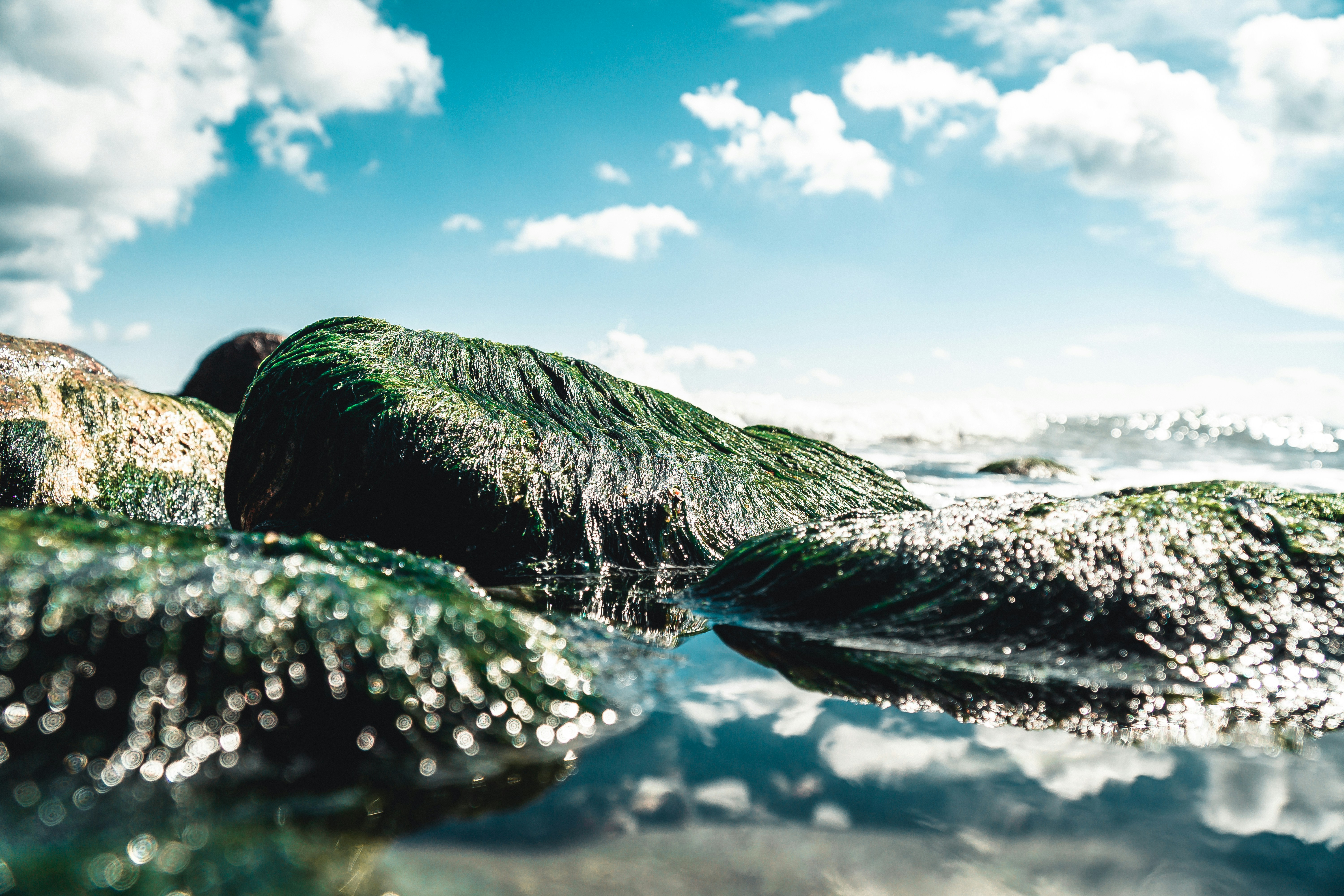 Emerald Rocks at Tide's Edge Under a Cerulean Sky