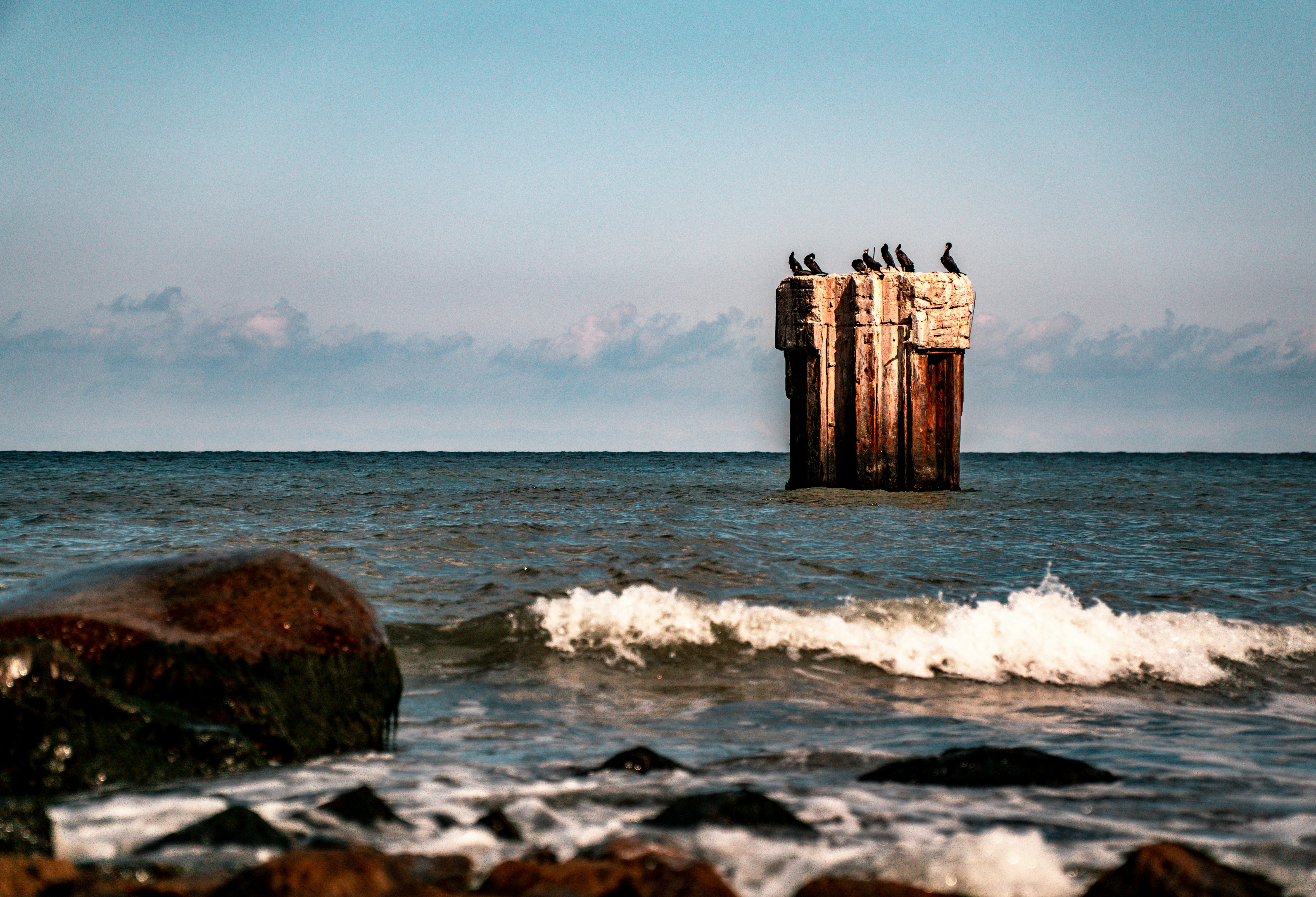 Sea Sentinel: Birds Perched on a Weathered Sea Pillar