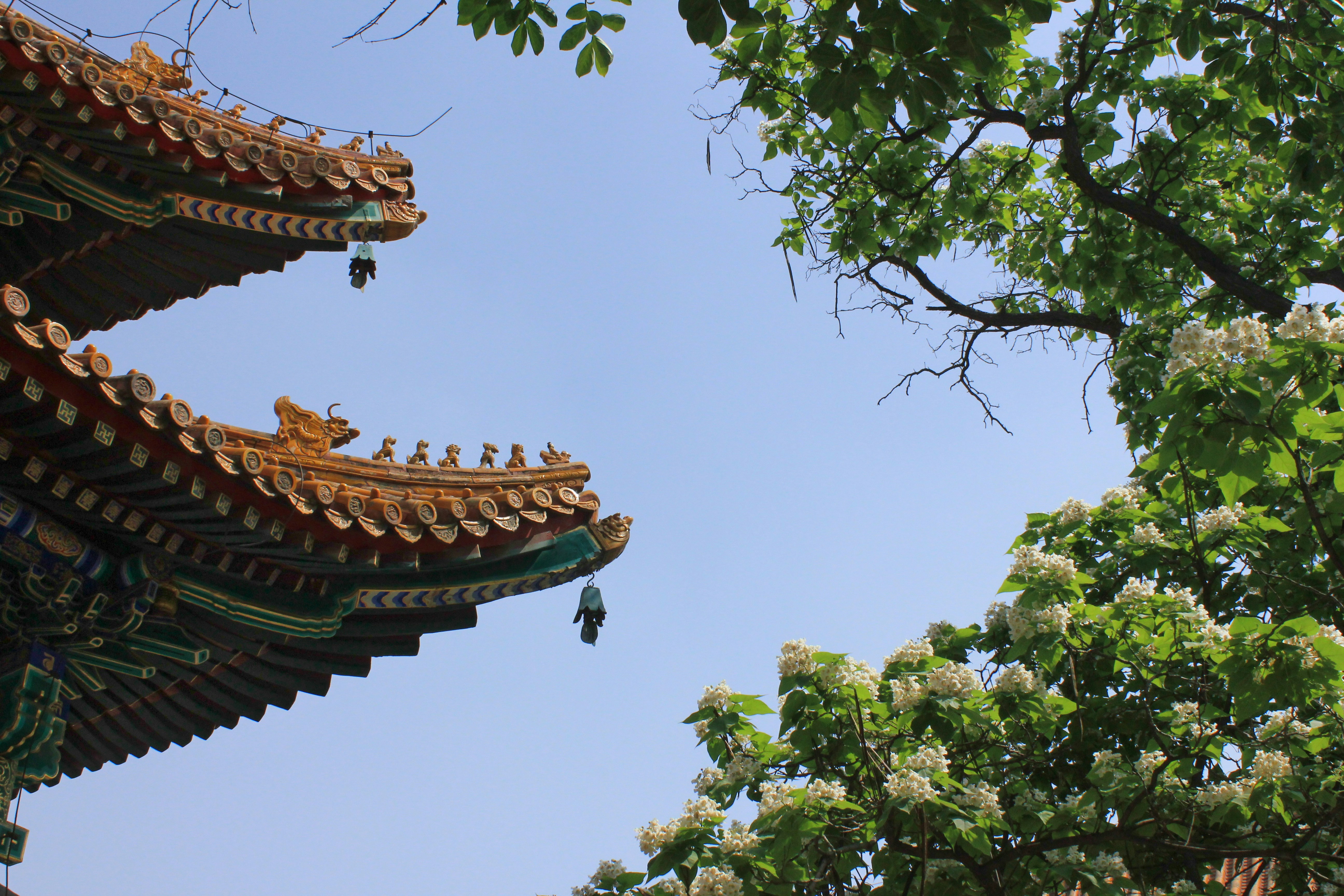 Intricate eaves of traditional architecture framed by lush greenery under a clear blue sky.