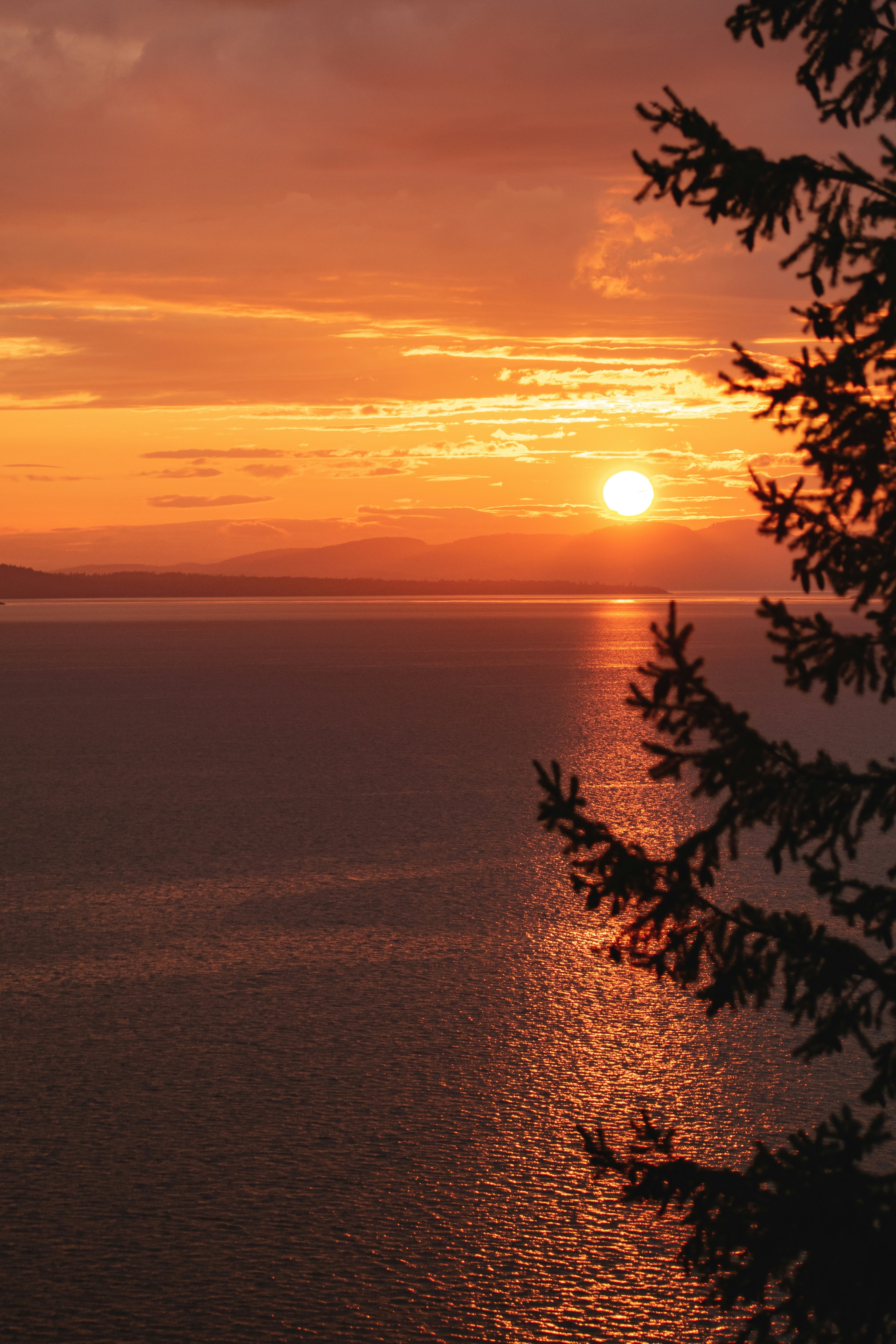 Autumn Sunset Pictures | Download Free Images on Unsplash