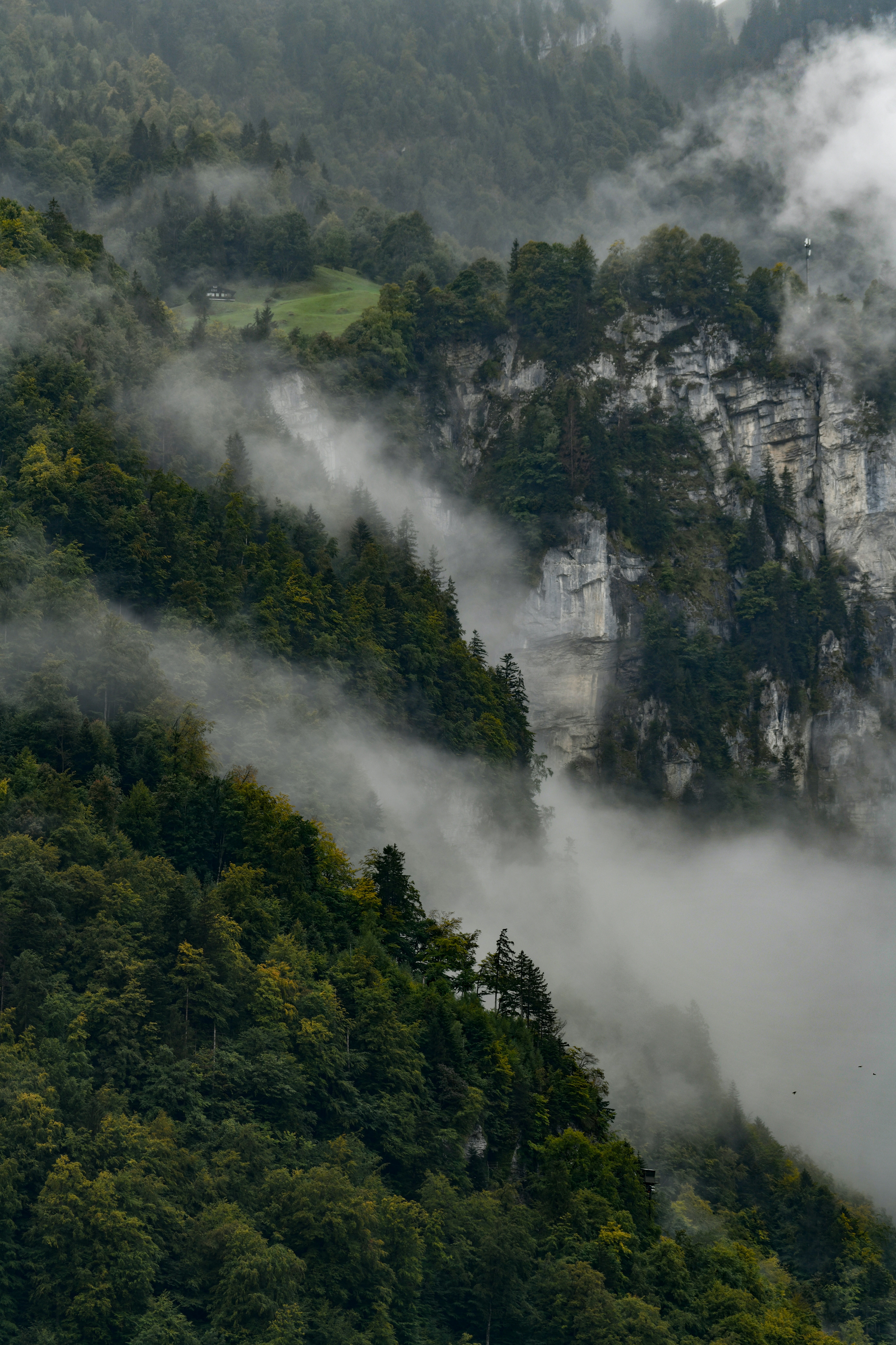 Fog enveloping lush green mountains and rugged cliffs, creating a mysterious atmosphere in a serene landscape.
