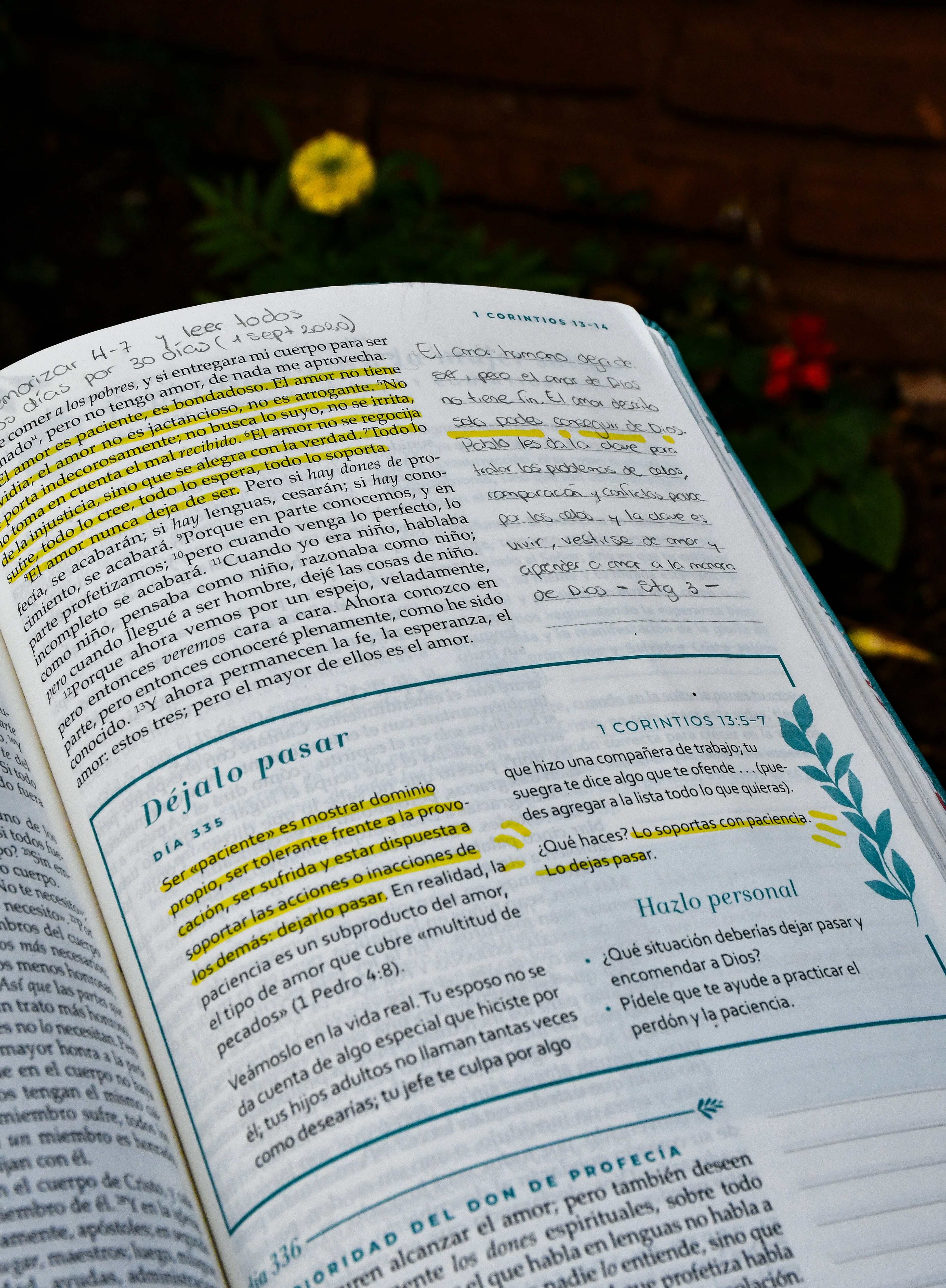 Cristianos Pictures | Download Free Images on Unsplash