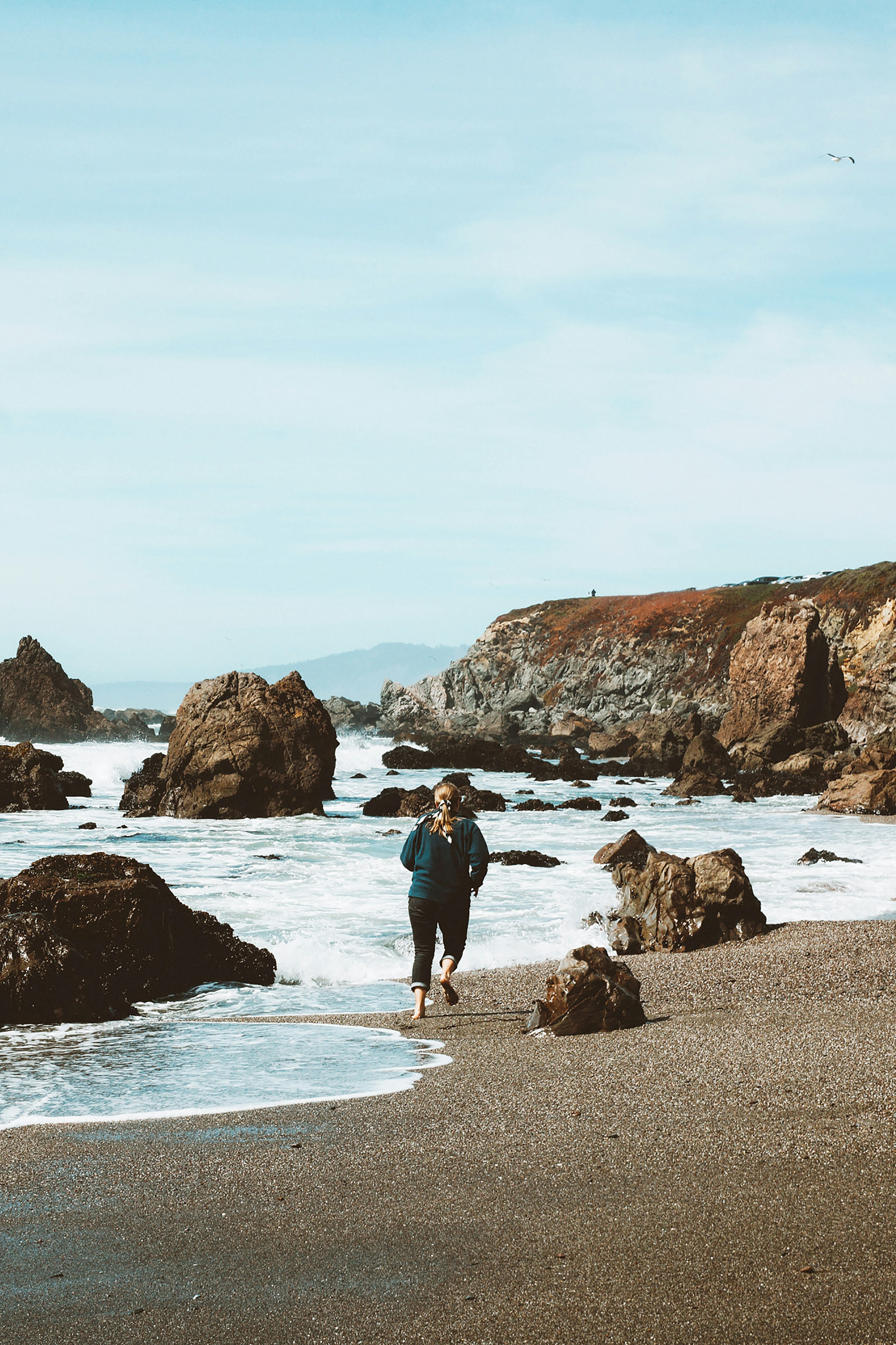 People walking on beach shore during daytime photo – Free Bodega bay ...