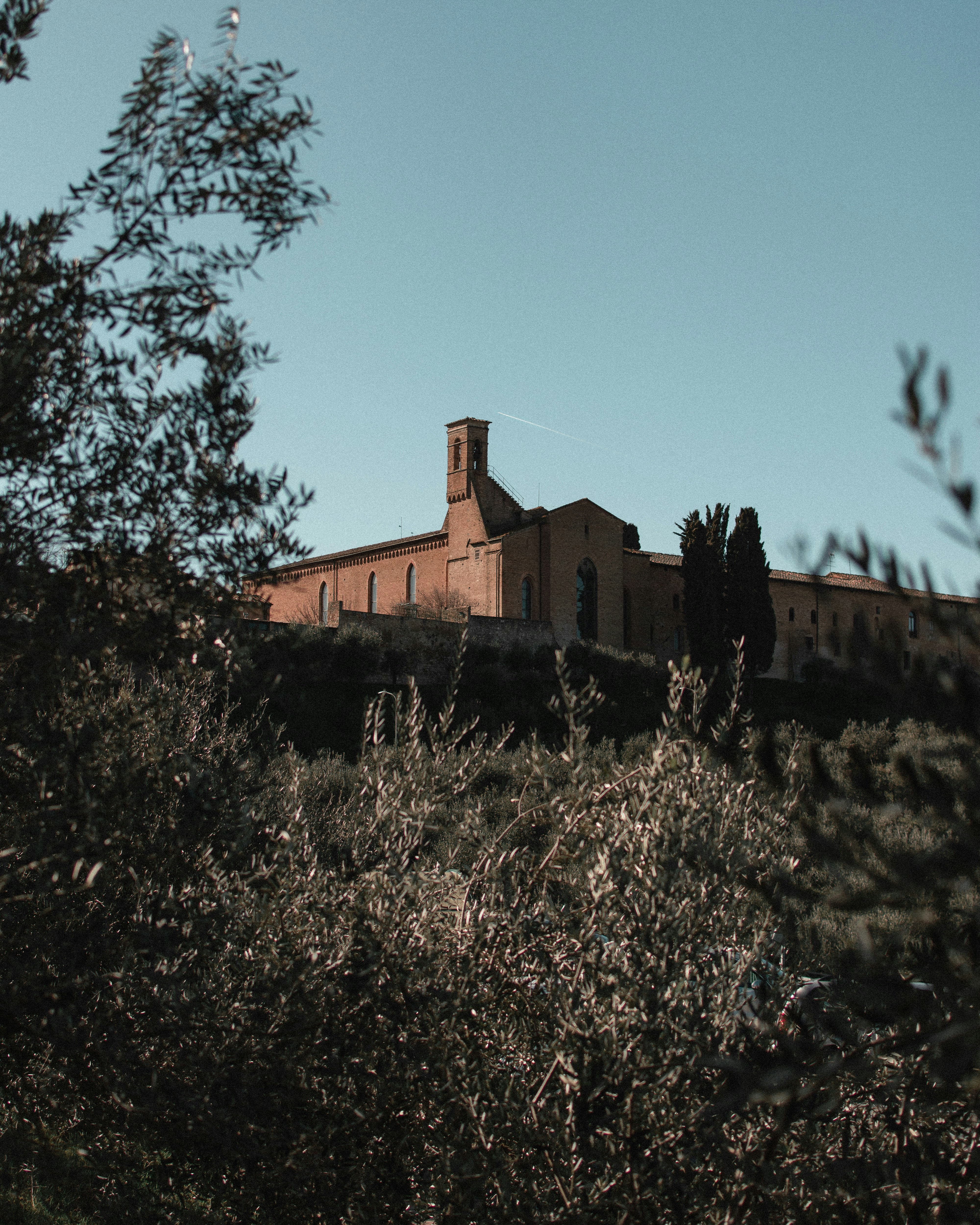 Edificio de hormigón marrón cerca de árboles verdes bajo el cielo azul ...