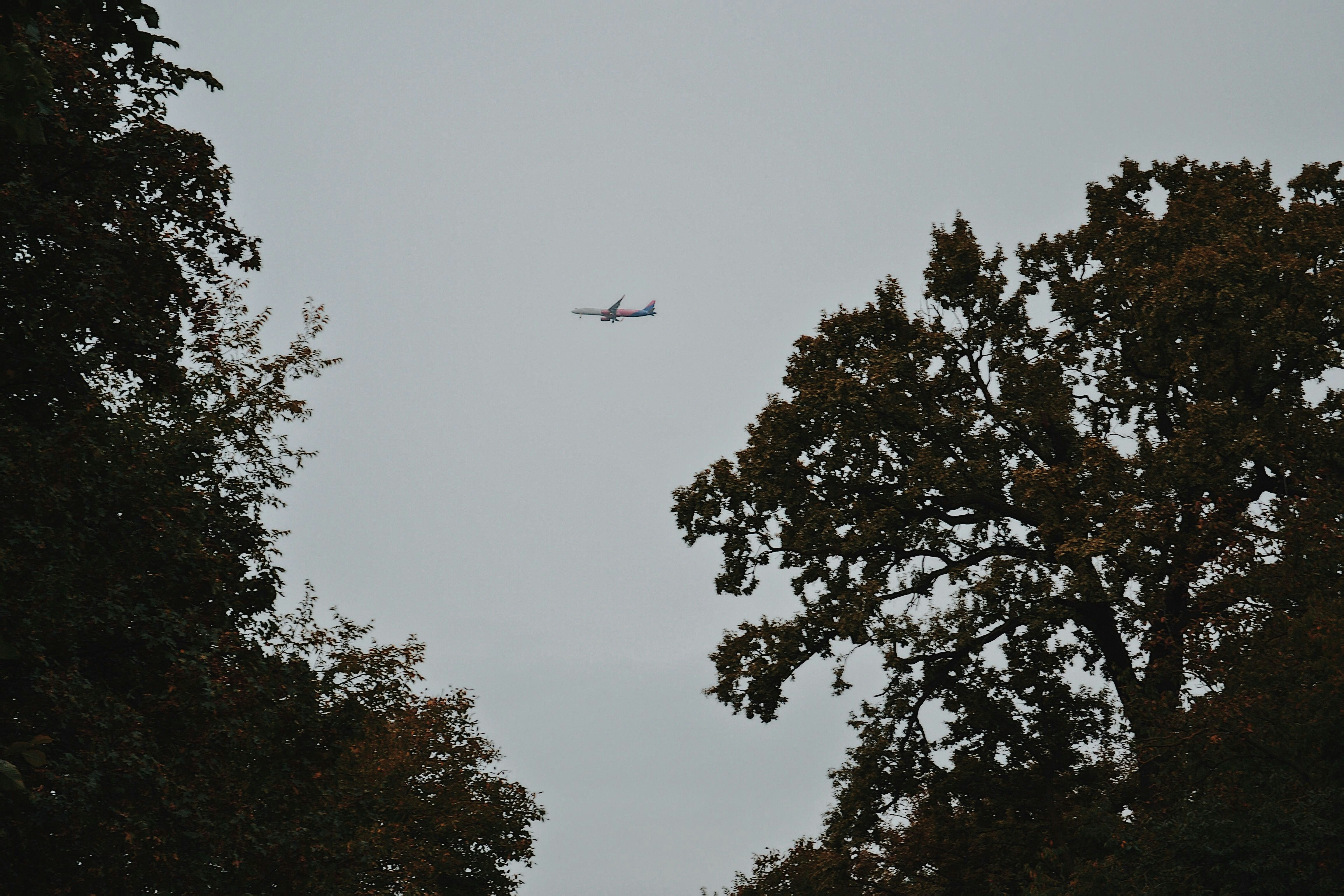 An airplane is flying over some trees photo – Free Grey Image on Unsplash