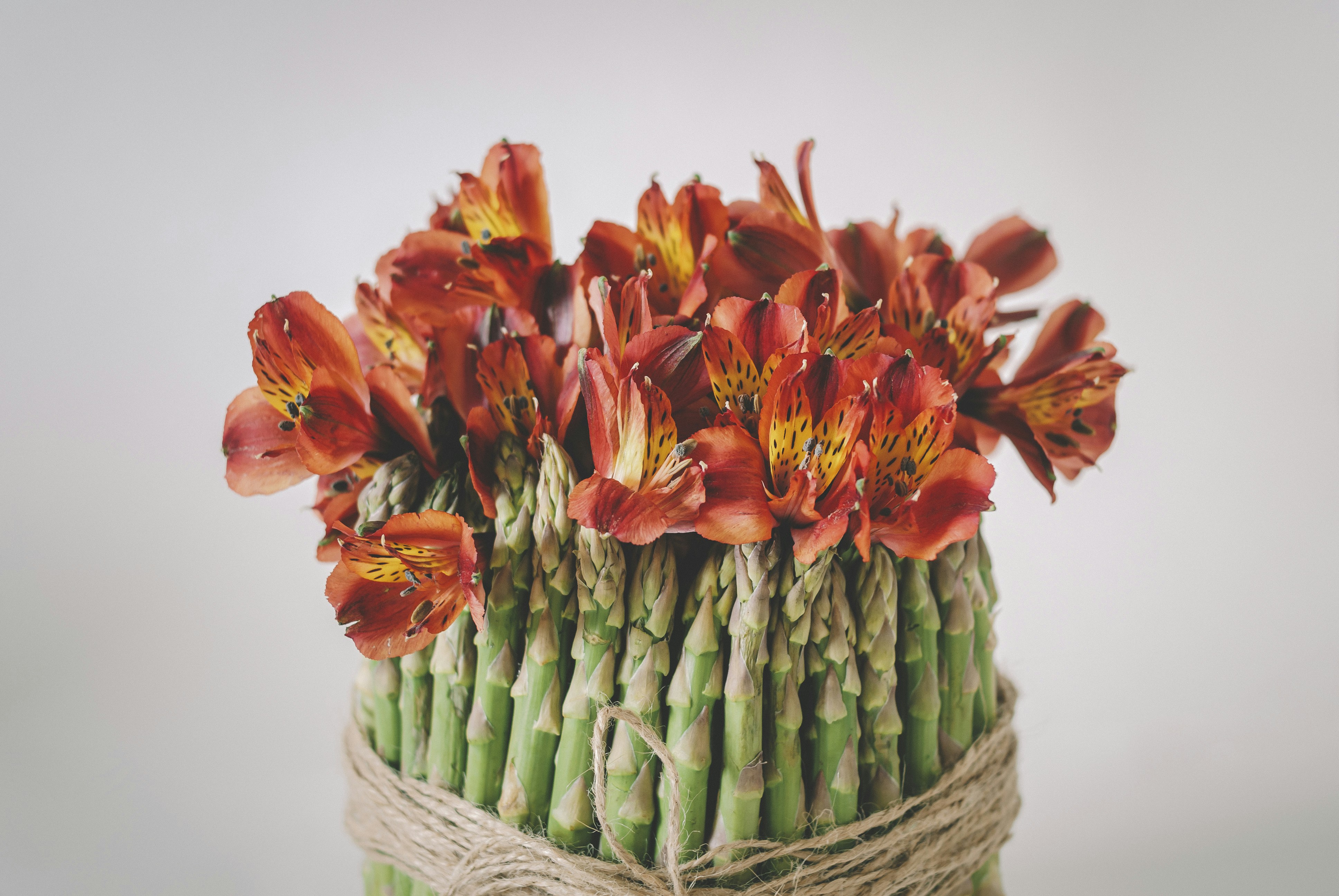 Bound in Burlap: Coral Alstroemeria Bouquet