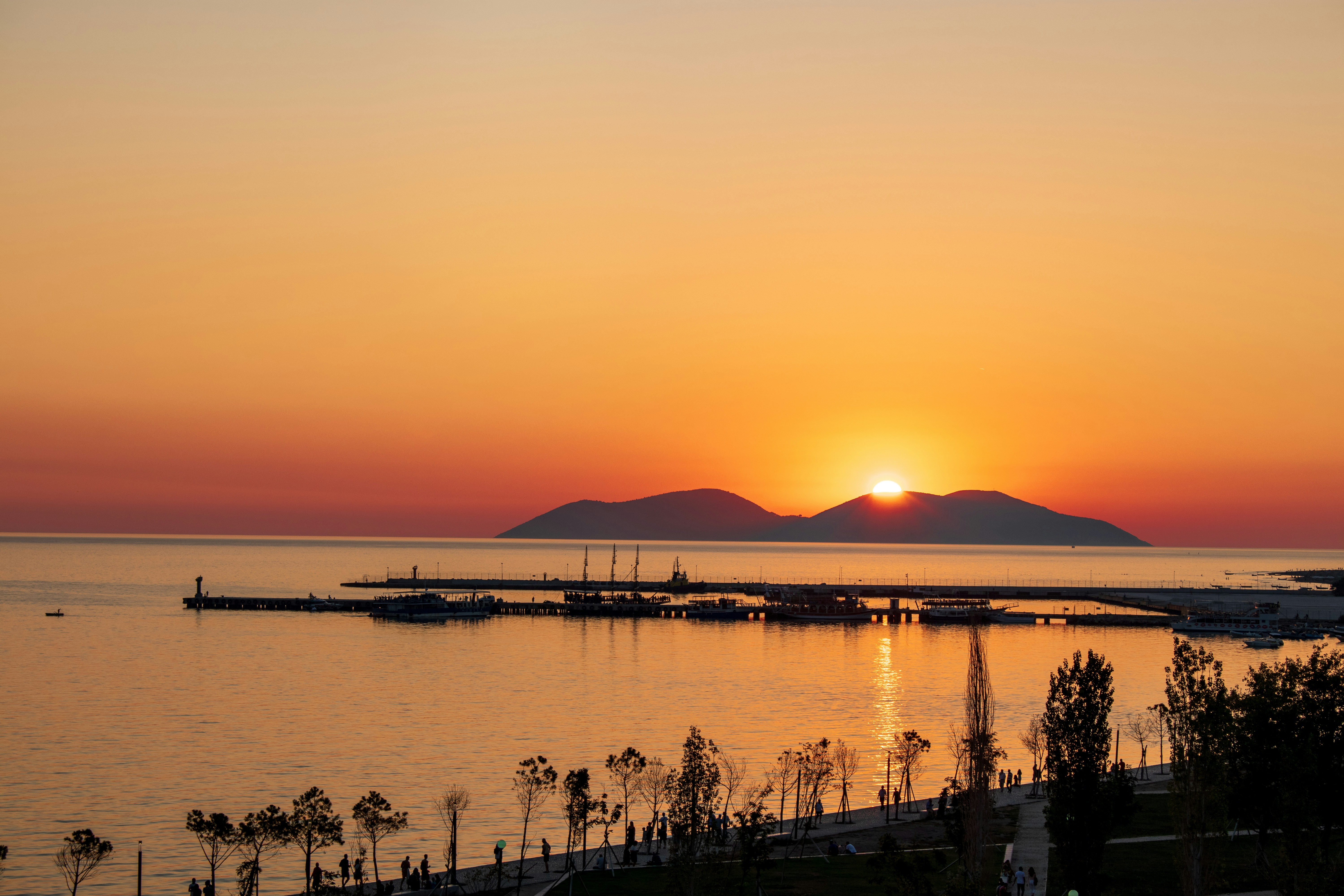 Sunset Vlora | silhouette of trees near body of water during sunset