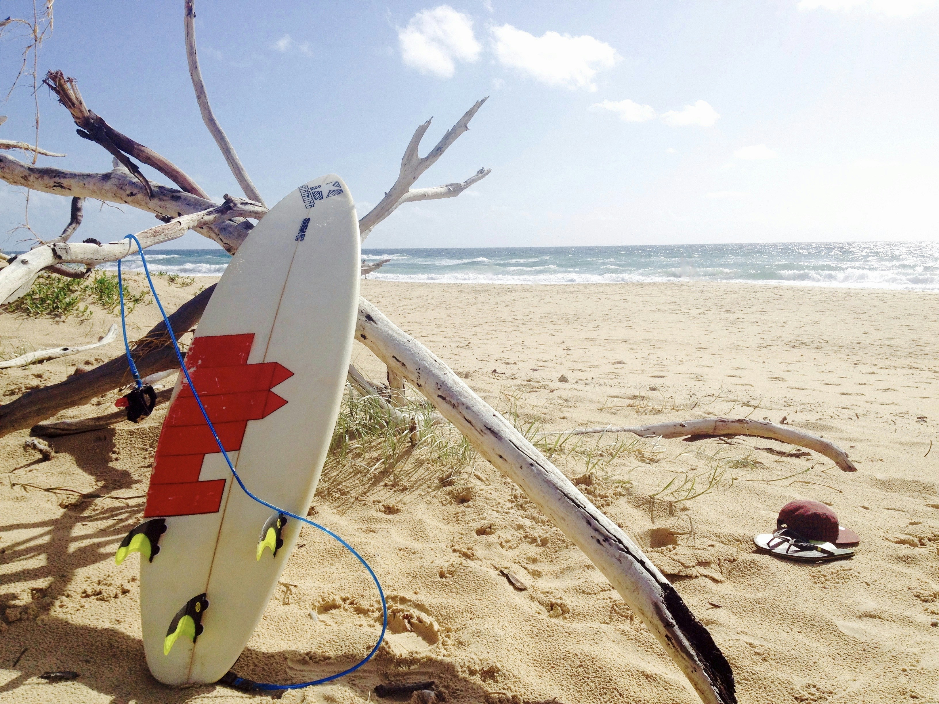 A surfboard leans against weathered driftwood on a sunlit beach. A leash and fins lie nearby as waves roll in.