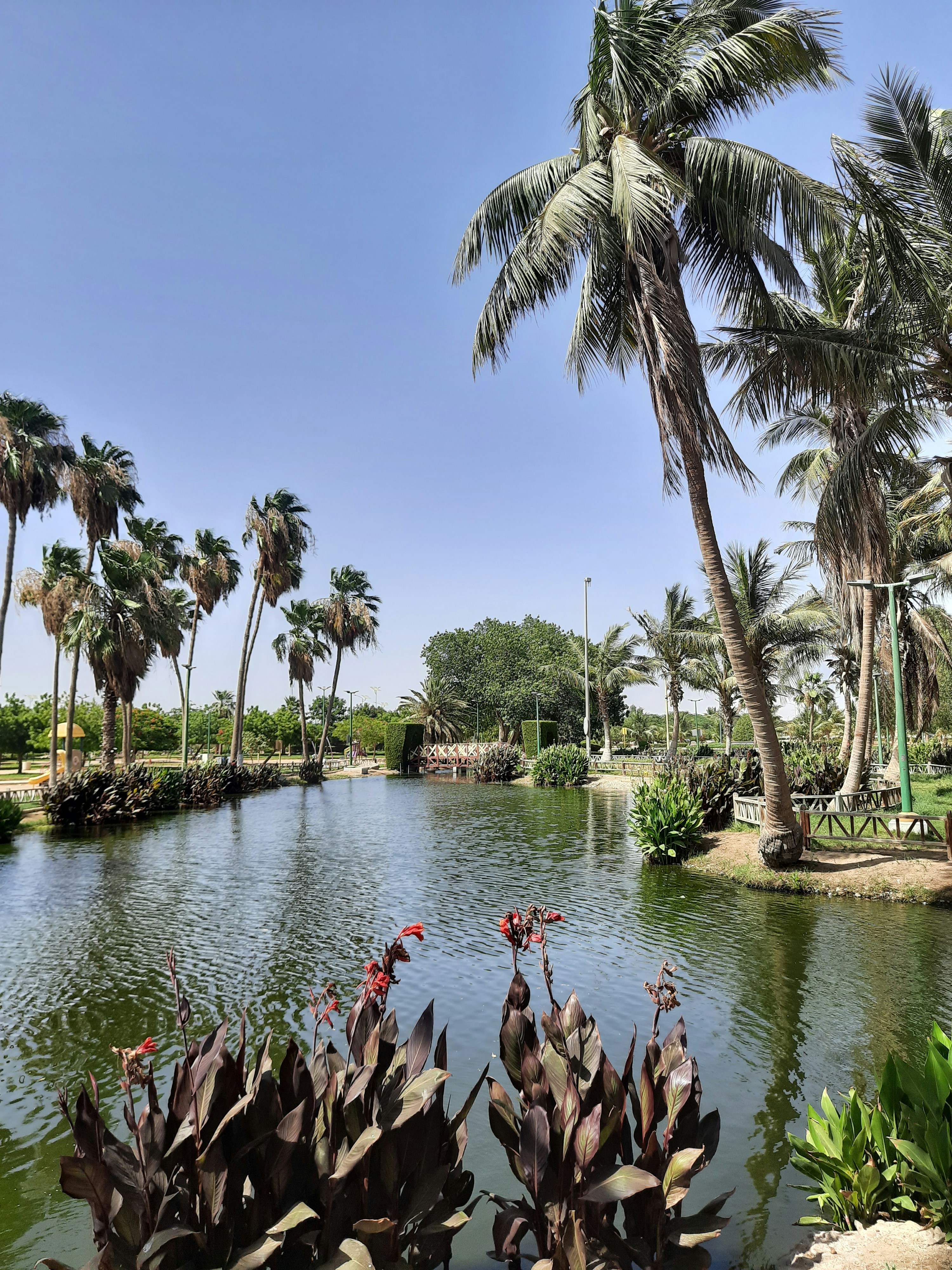 Lush greenery surrounds a tranquil pond, with palm trees swaying gently in the breeze and vibrant flowers in the foreground.