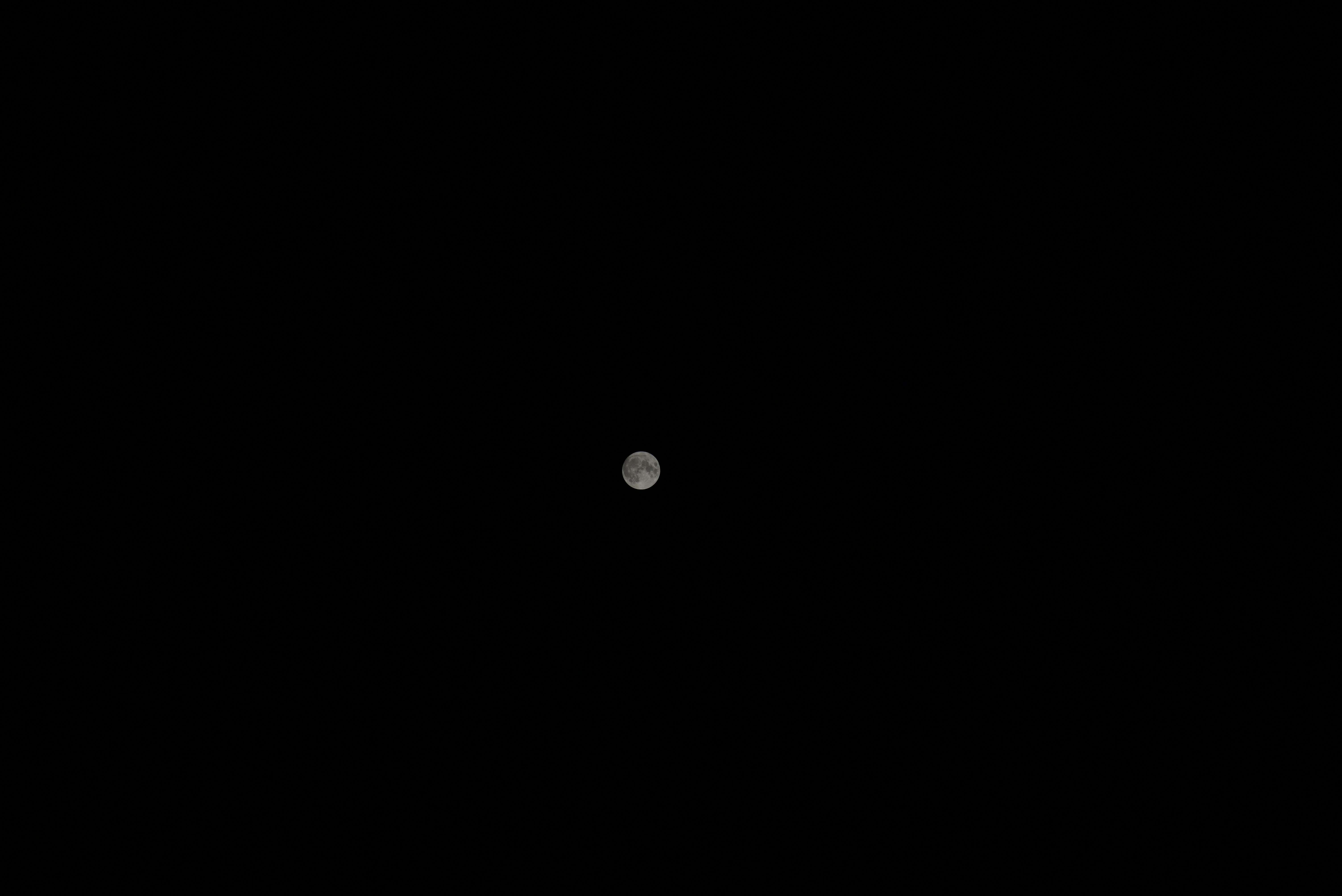 Lunar Serenity: A Silent Night's Embrace
