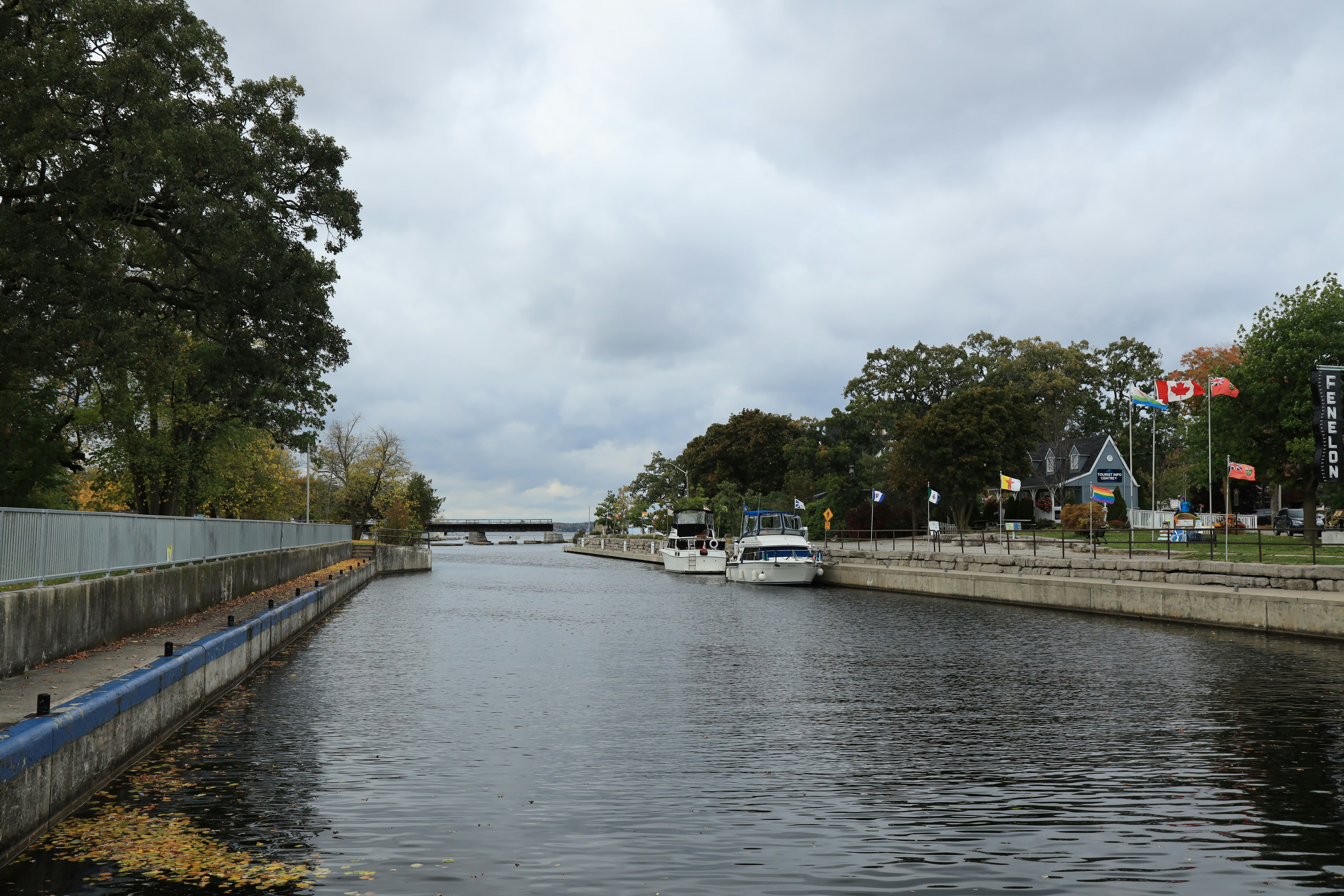 people walking on bridge over river during daytime