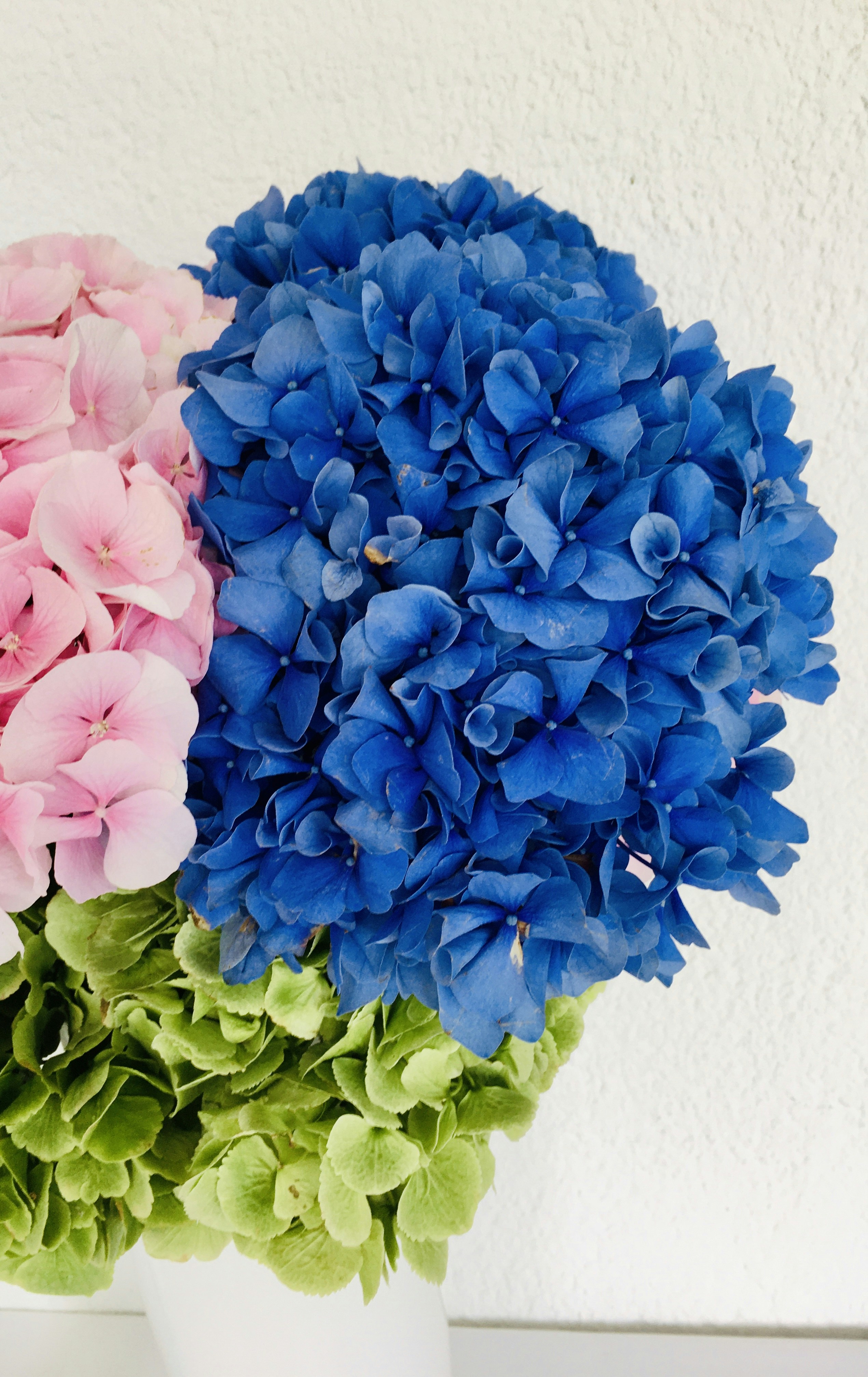 Blue Hydrangea Bloom Centerpiece in Sunlit Corner