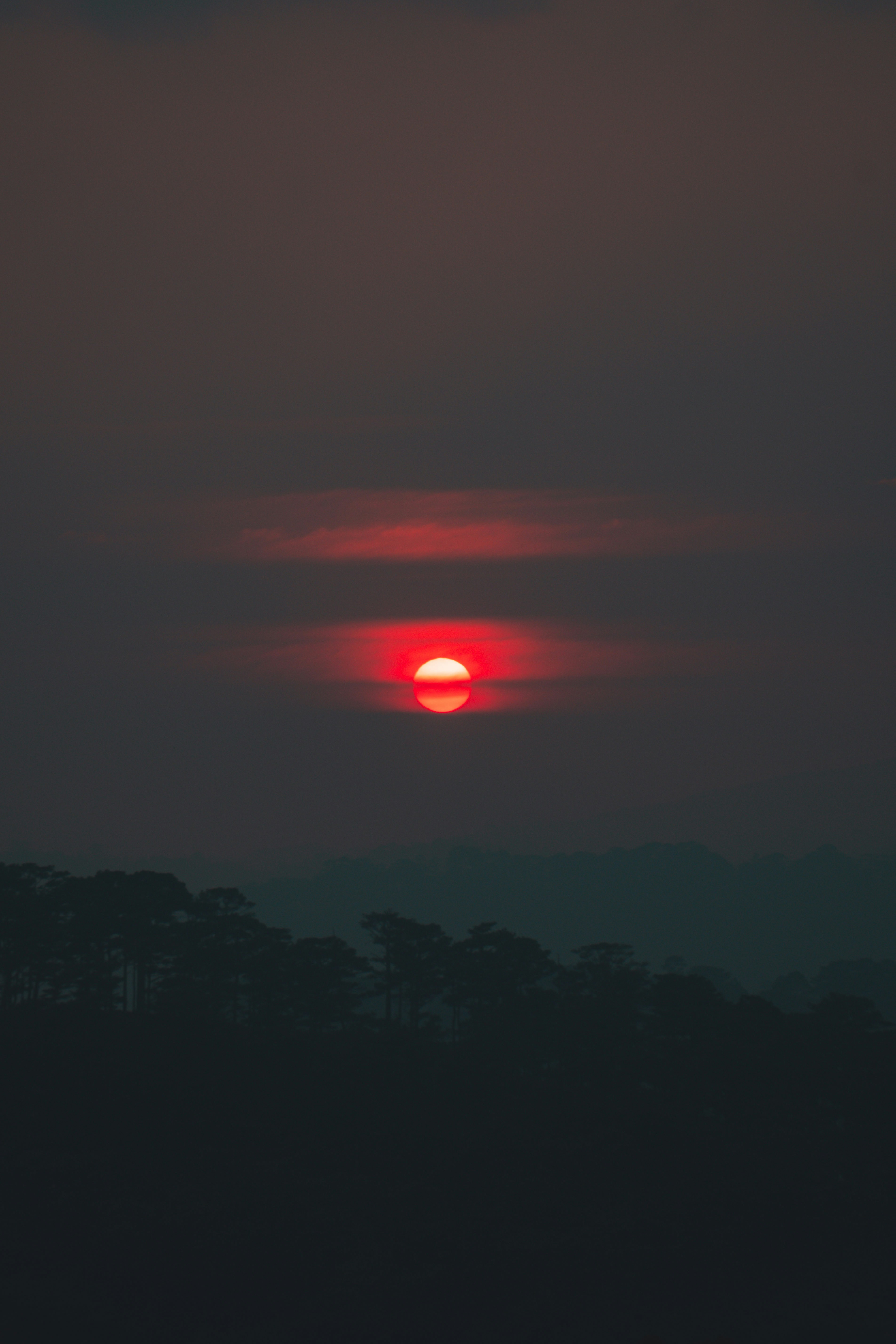 Crimson Horizon: Dusk Sun Framing Silent Pines