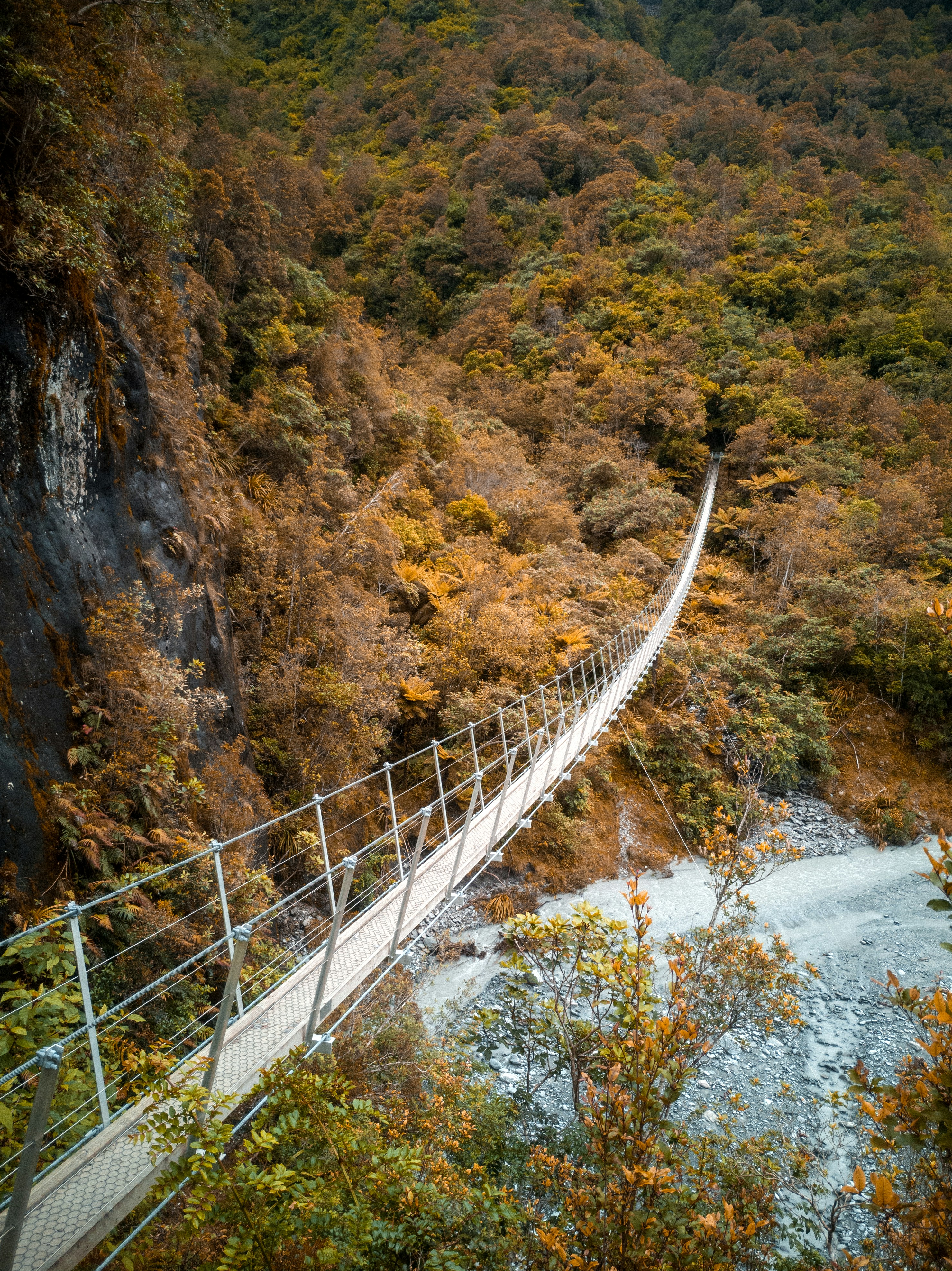 White bridge over river between trees photo – Free Franz josef glacier ...