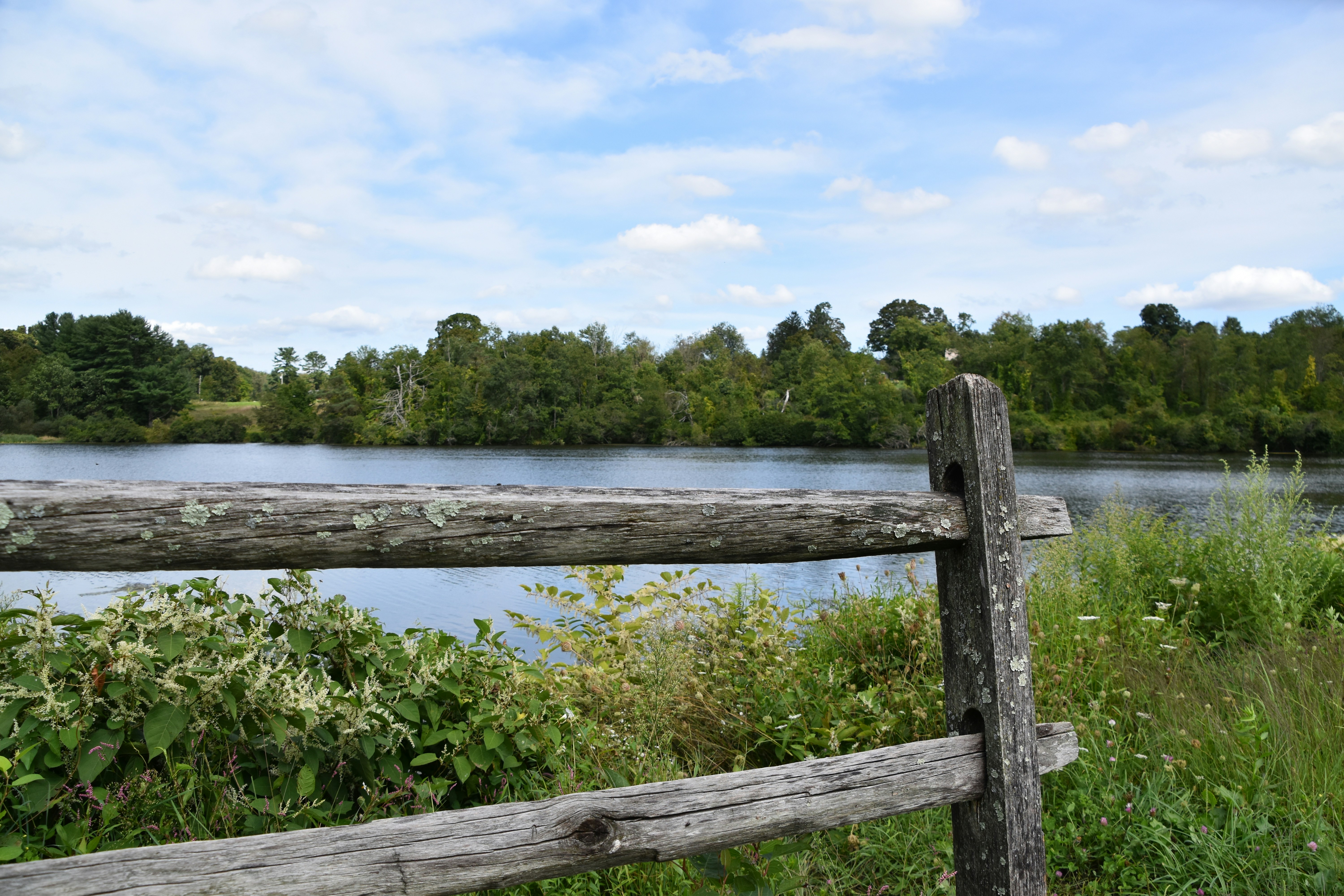 Rustic Serenity by the Lakeside