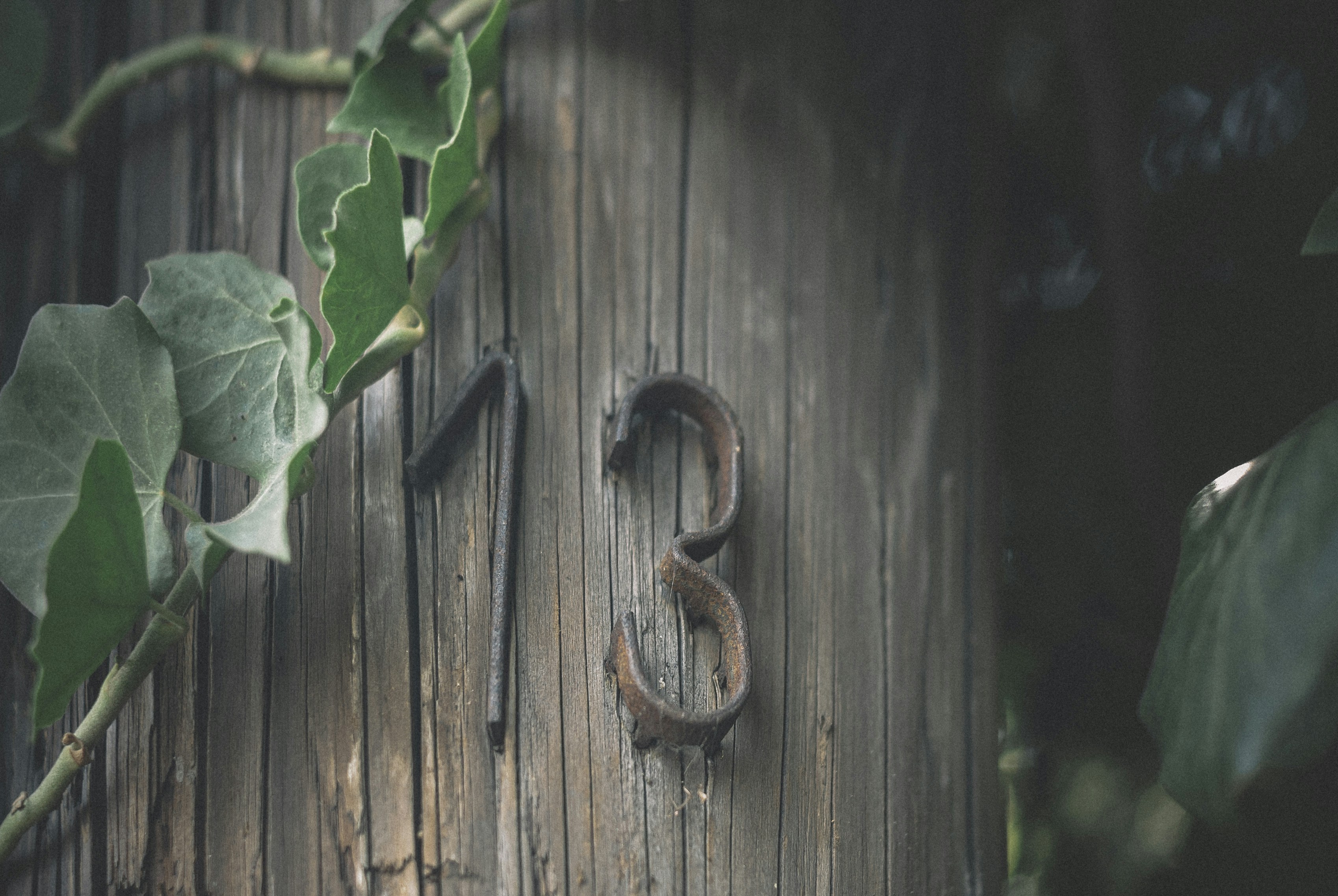 Number 13 Pictures | Download Free Images on Unsplash