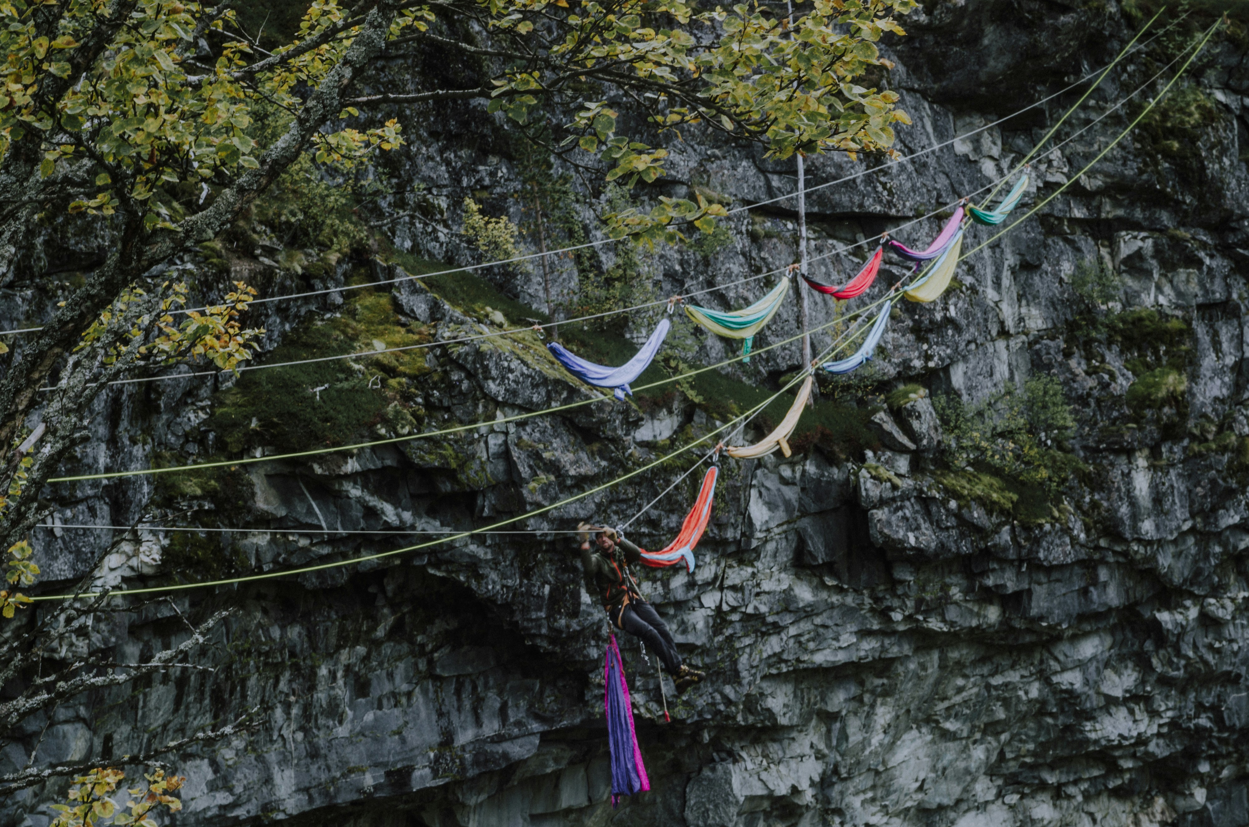 Red and blue rope hanging on tree photo – Free Norway Image on Unsplash