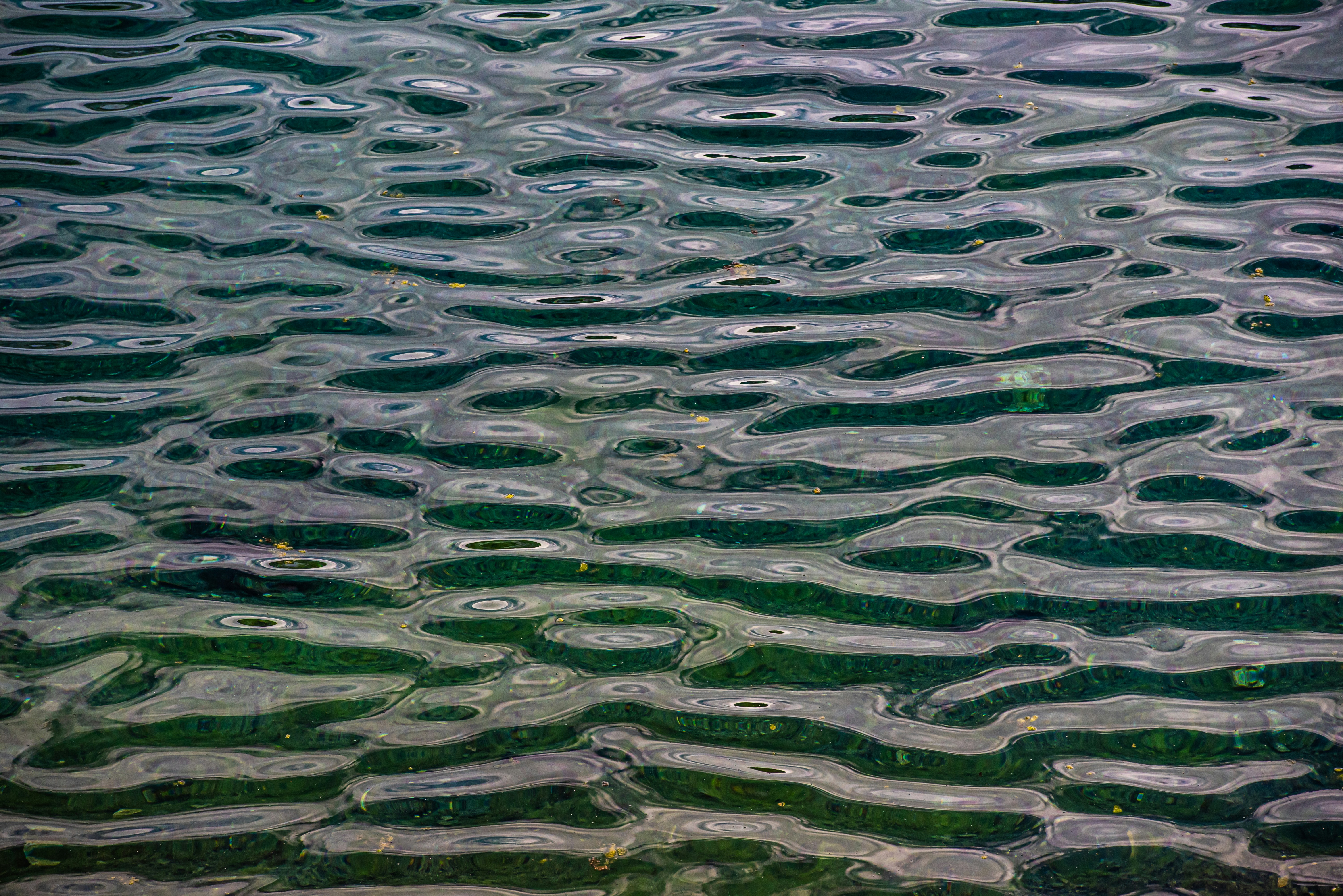 Rhythmic Dance of Water's Surface