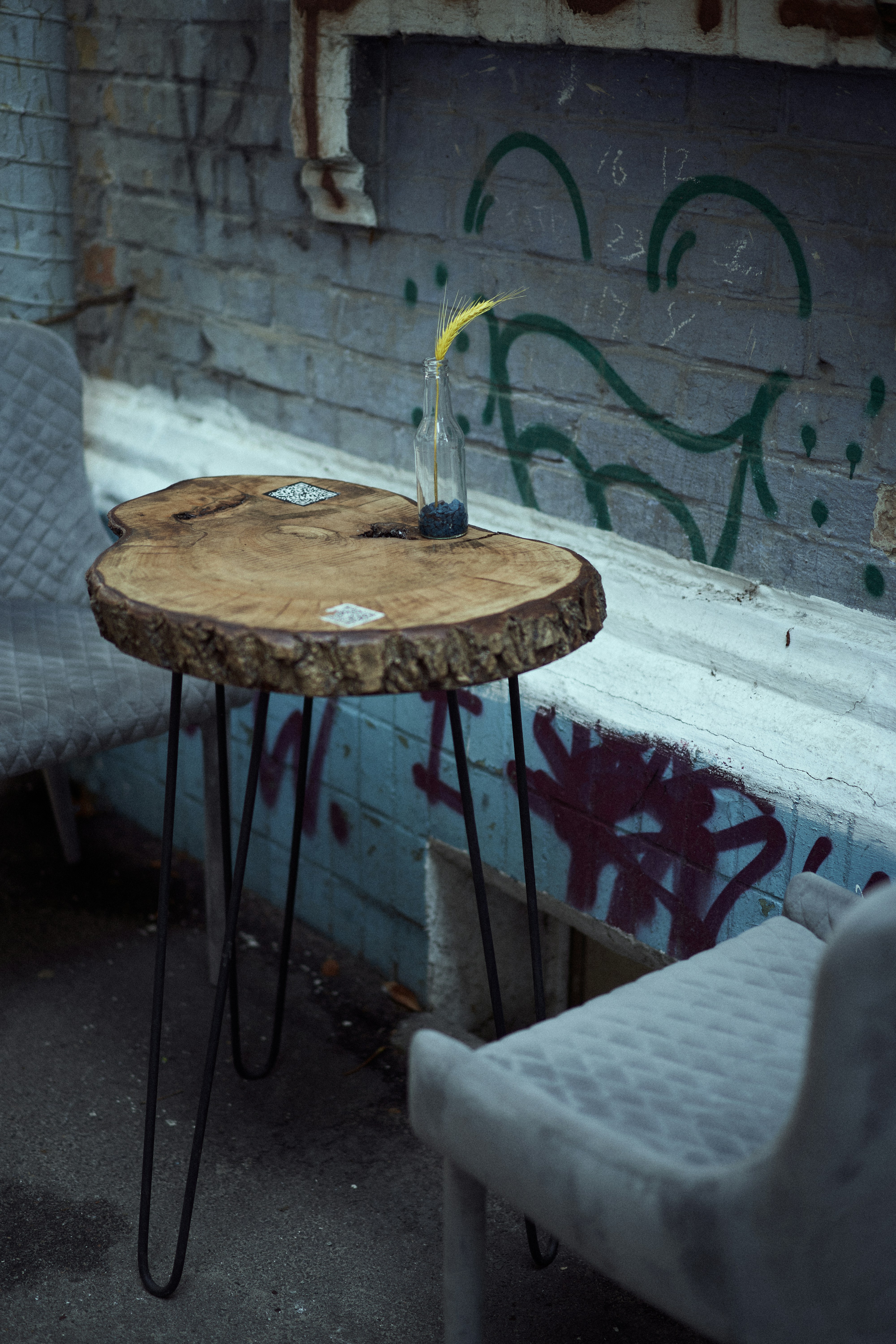 Sprout in a Glass Vessel on a Tree-Stump Table by Graffiti Wall