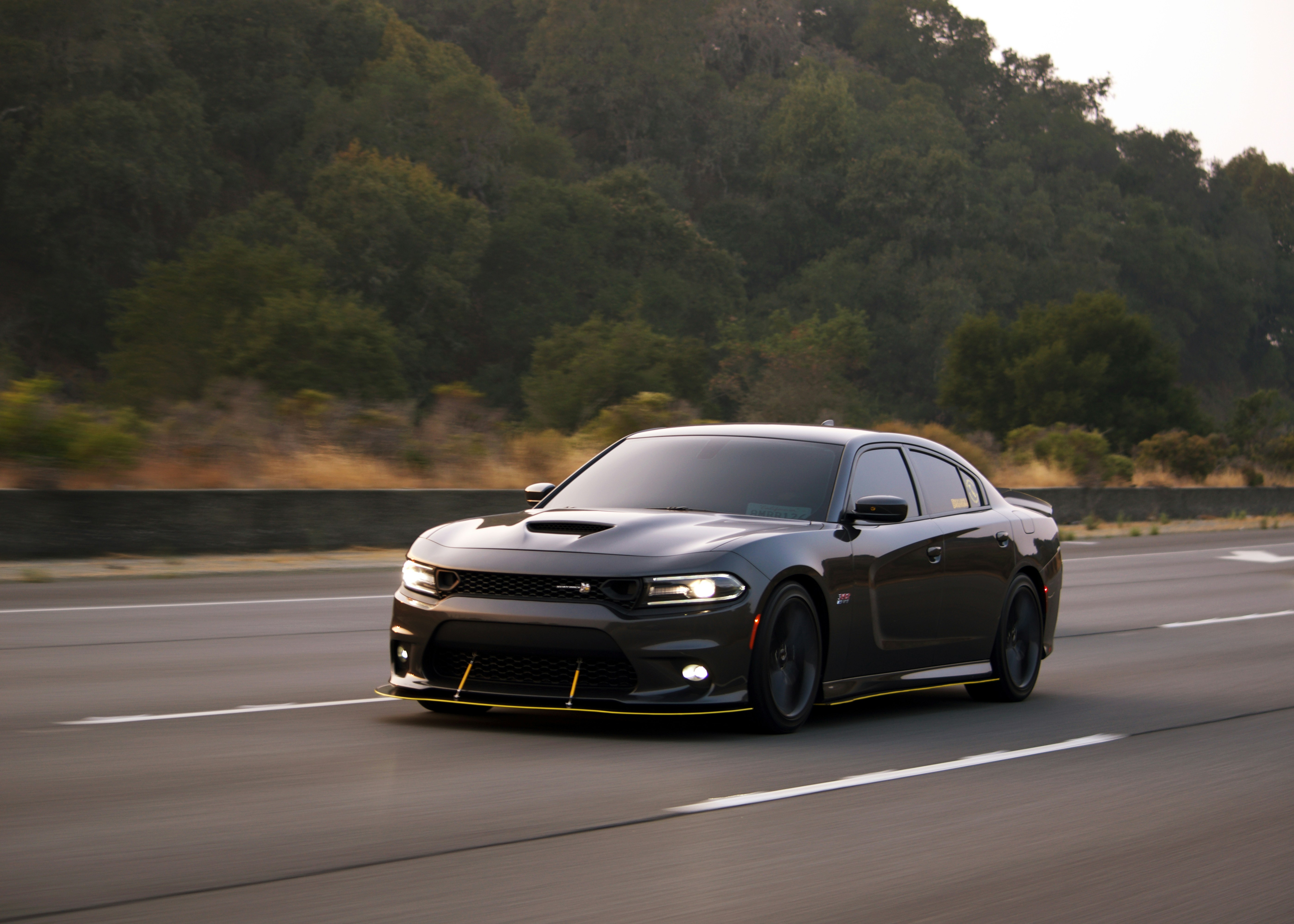 500+ Muscle Car Pictures | Download Free Images on Unsplash