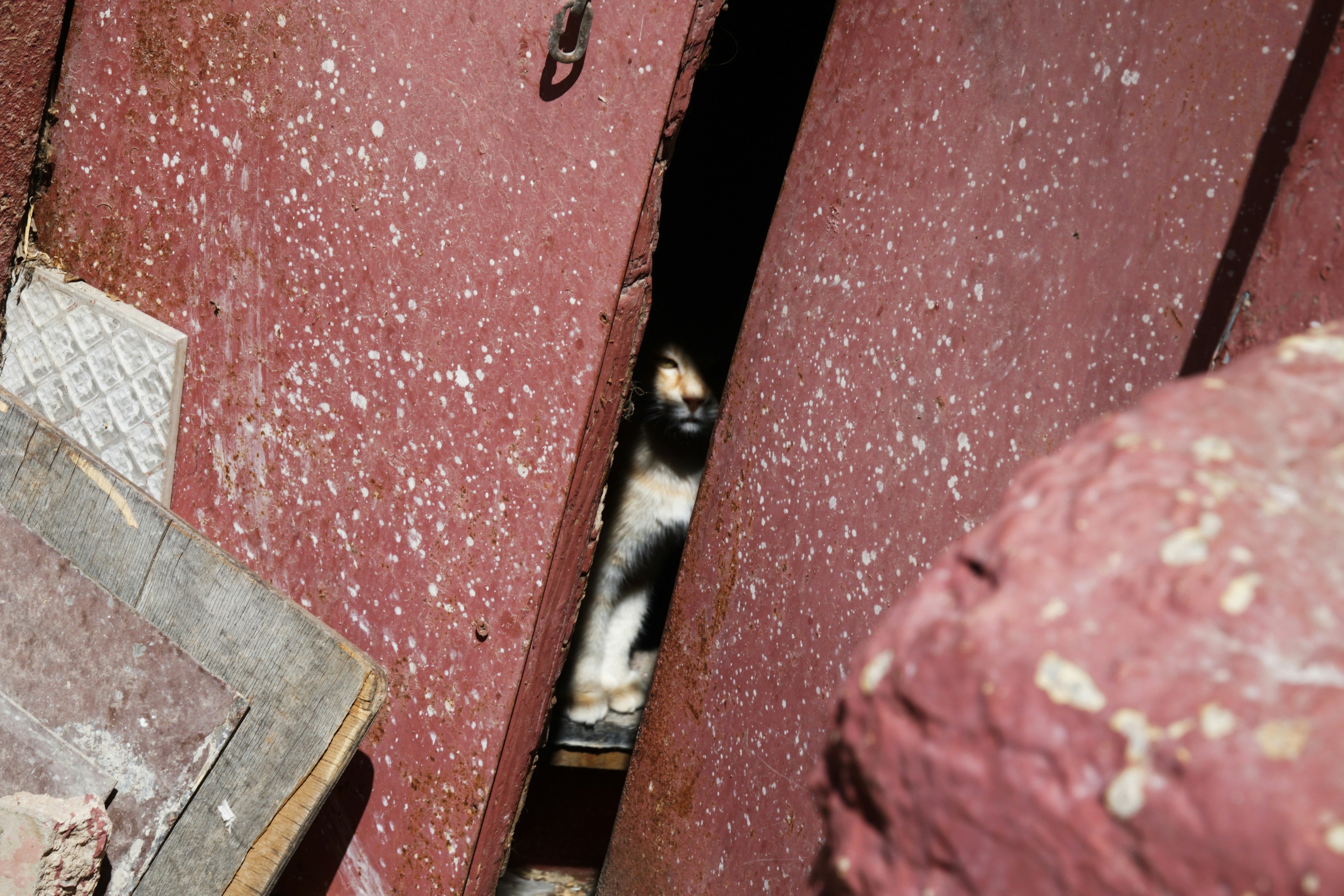 Curiosity Behind the Red Door